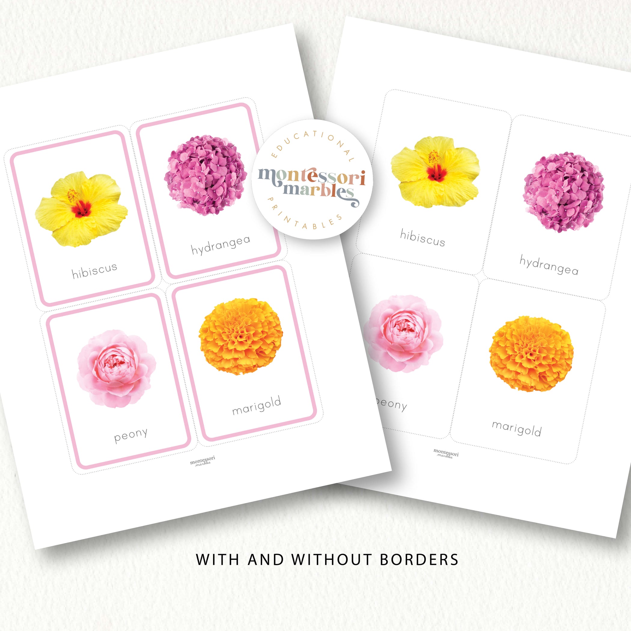 Flowers Flash Cards | 16 Spring Garden Vocabulary Cards Ages 2-5 PDF ...