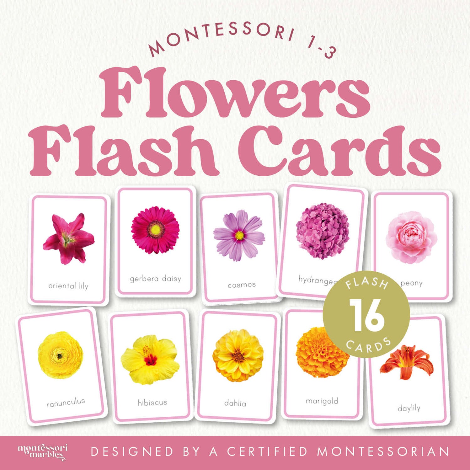 Flowers Flash Cards | 16 Spring Garden Vocabulary Cards Ages 2-5 PDF ...
