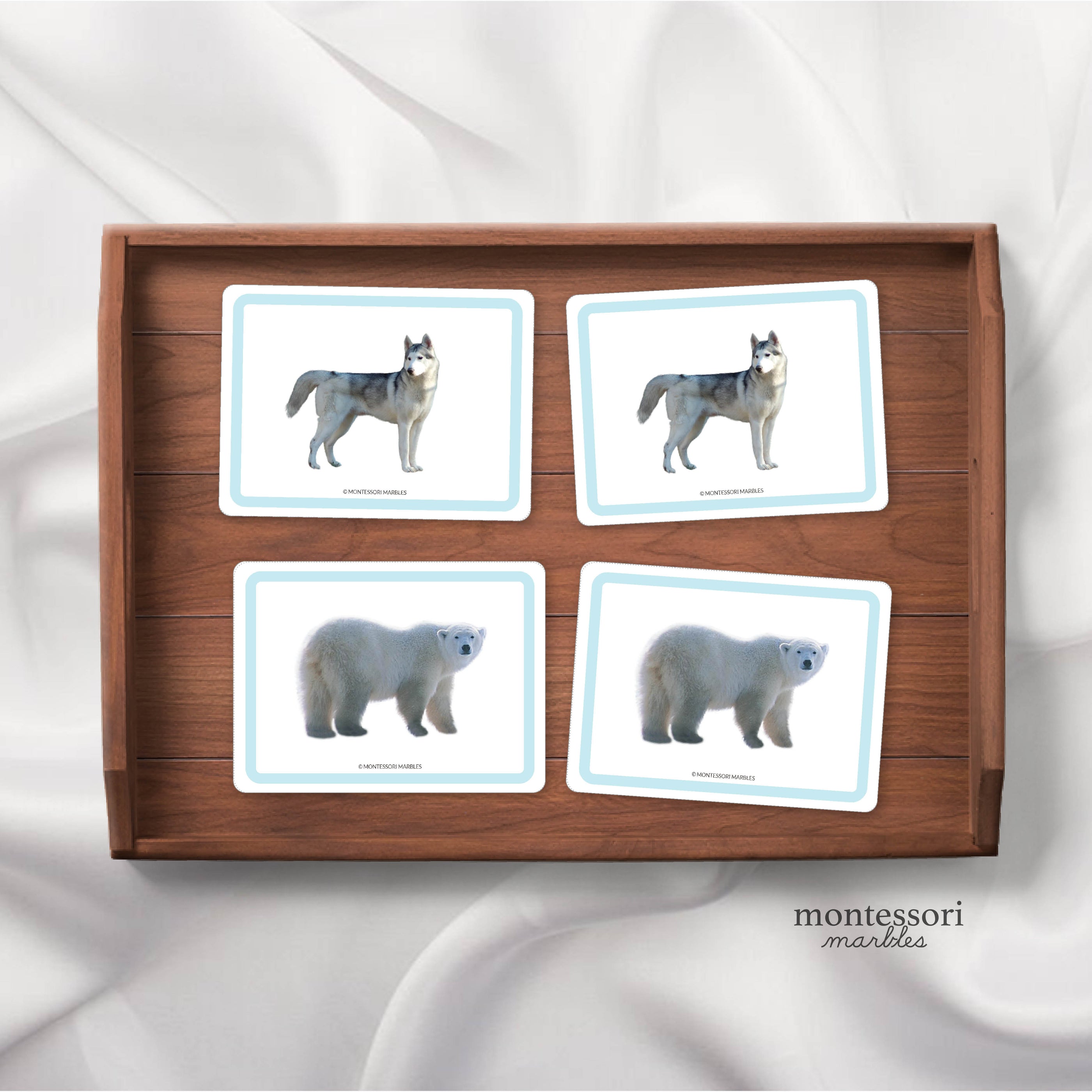 Polar Animals Bundle | 10 Arctic Activities Ages 3-6 Winter PDF ...