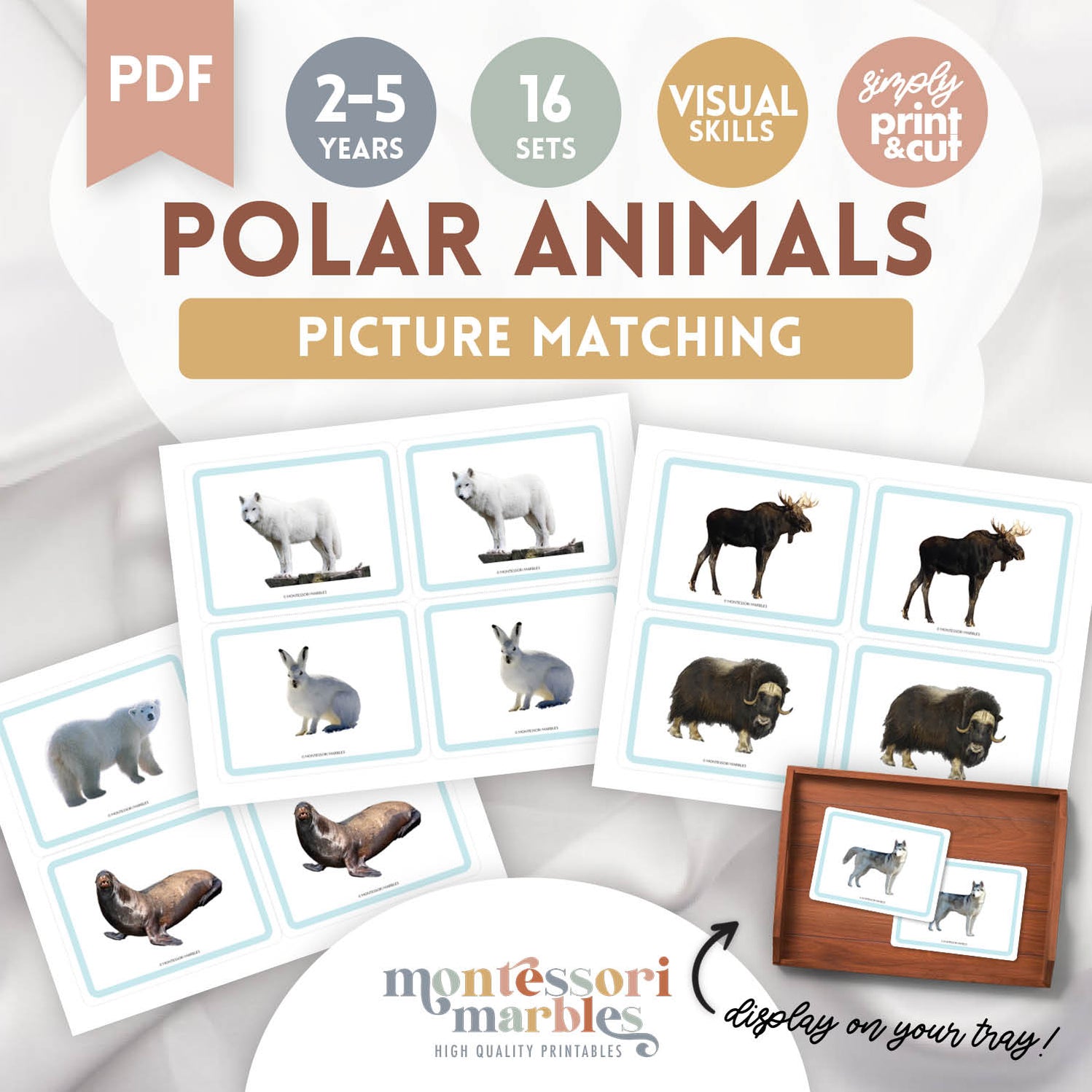 Polar Animals Picture Cards | Matching Activity PreK-K Ages 3-6 PDF ...