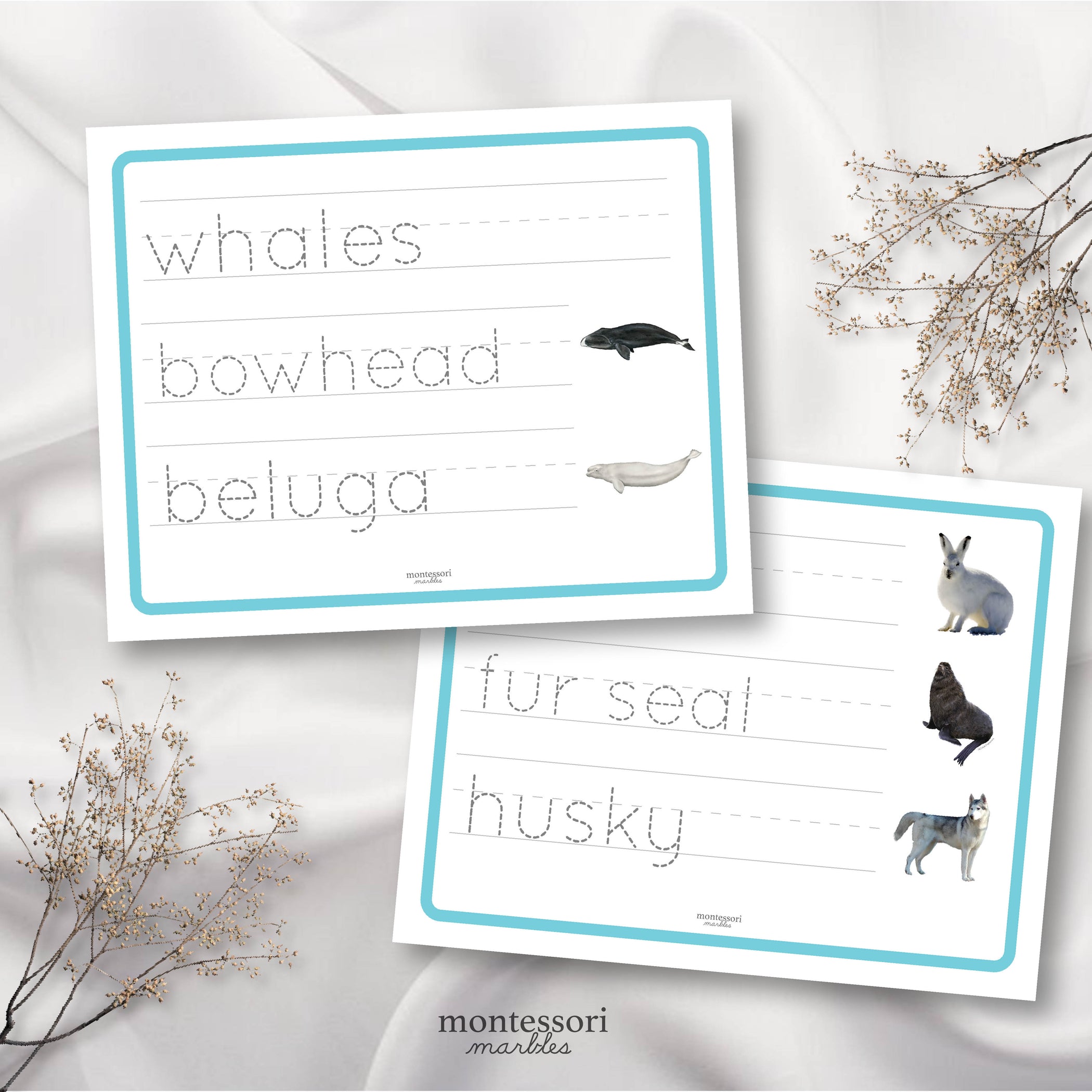 Polar Animals Bundle | 10 Arctic Activities Ages 3-6 Winter PDF ...