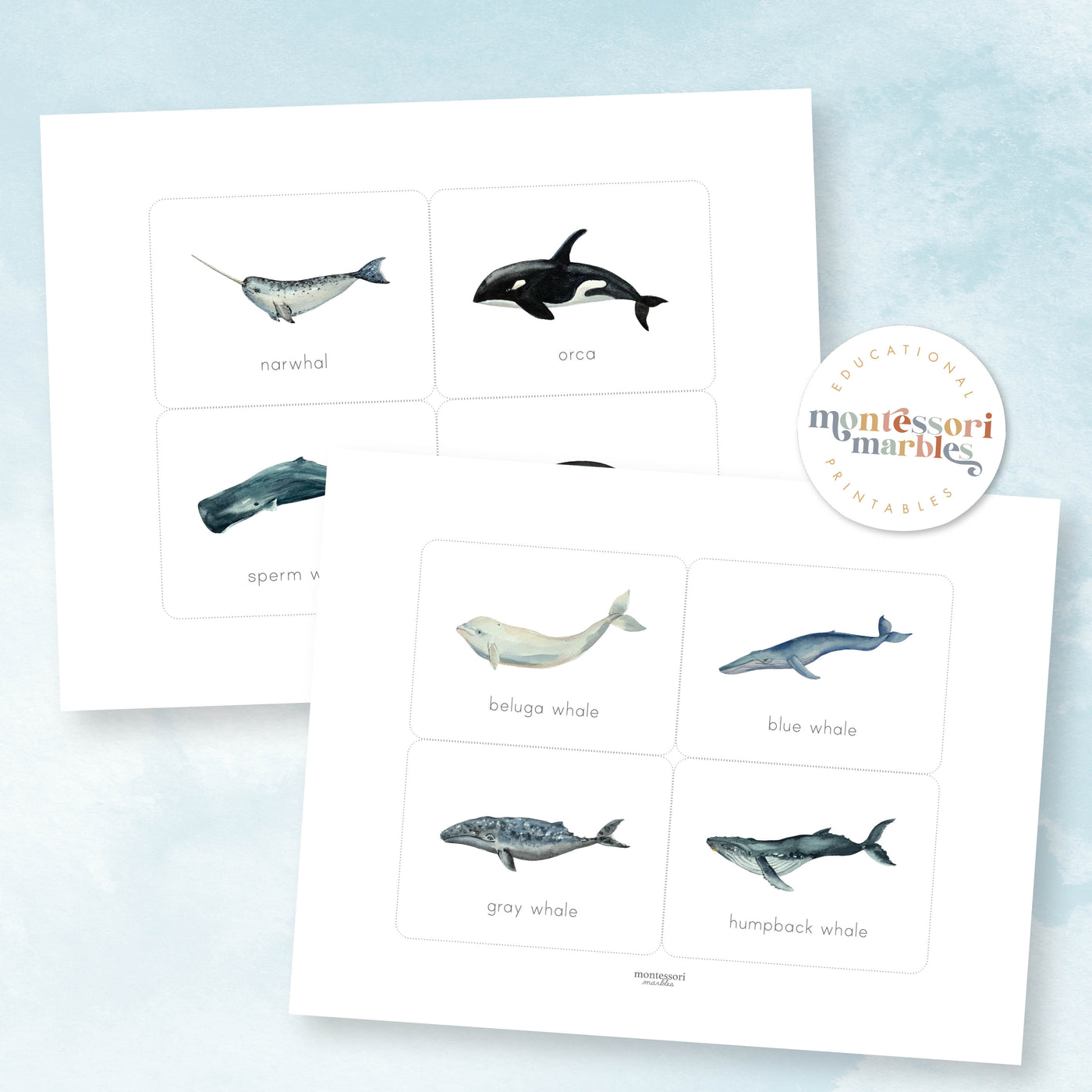 Whales Flash Cards — Montessori Marbles