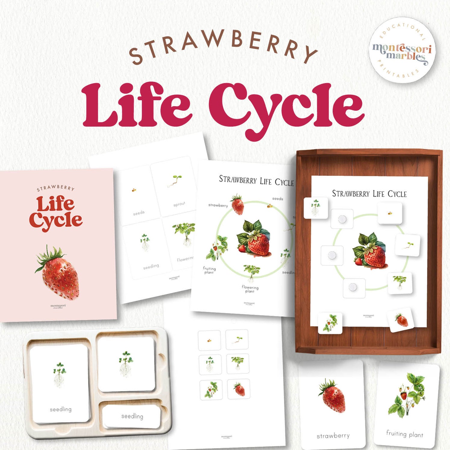 Plants — Montessori Marbles