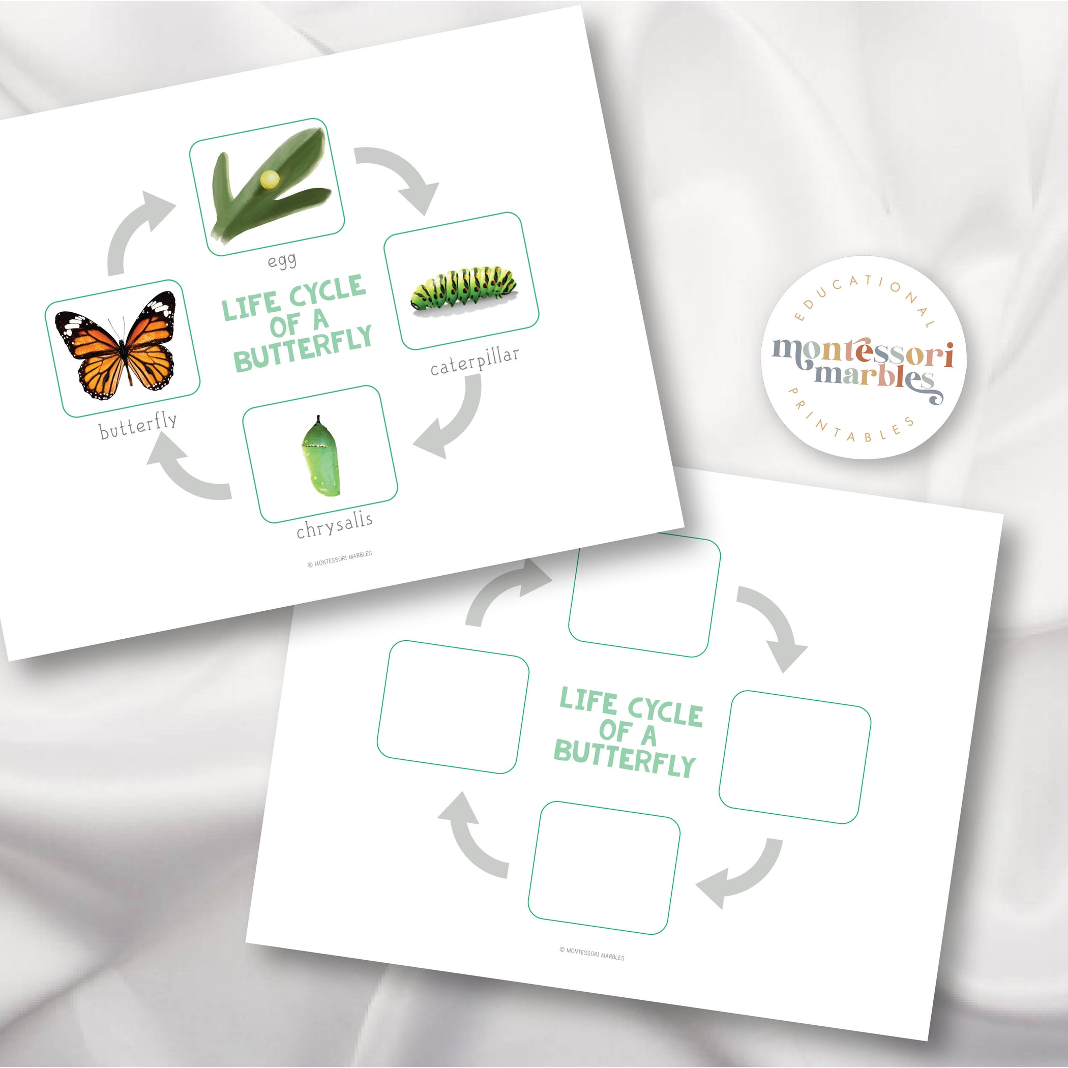 Butterfly Life Cycle Cards | Insect Science Activity Ages 5-9 Spring ...