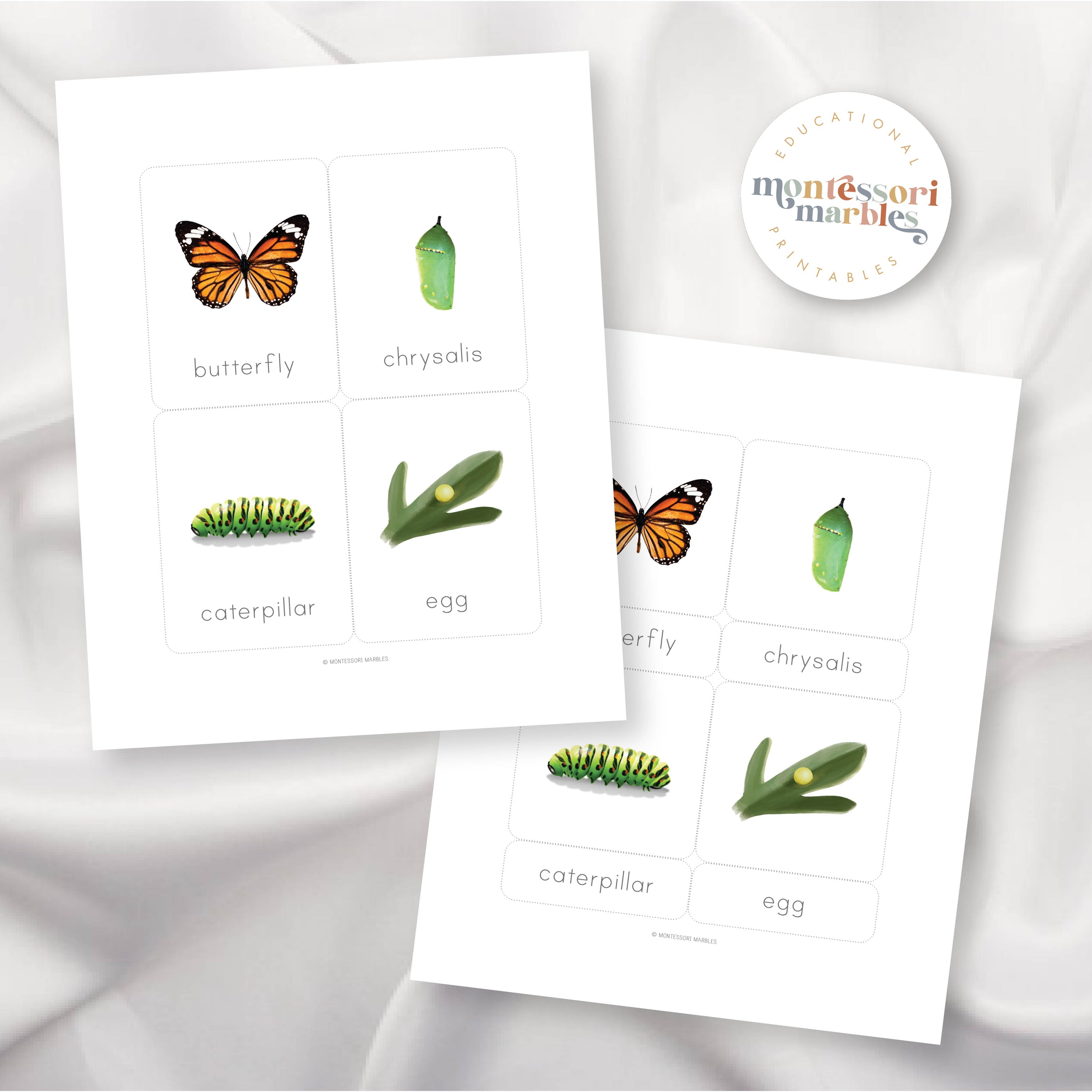Butterfly Life Cycle Cards | Insect Science Activity Ages 5-9 Spring ...