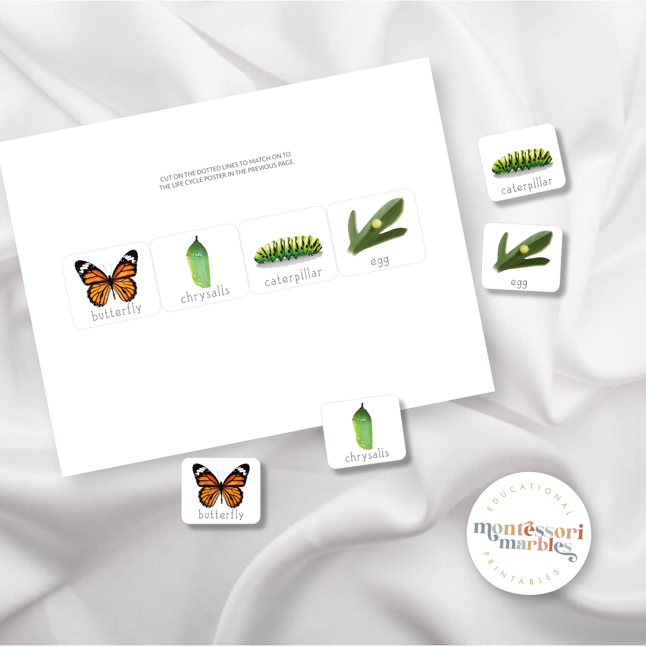 Butterfly Life Cycle Cards | Insect Science Activity Ages 5-9 Spring ...