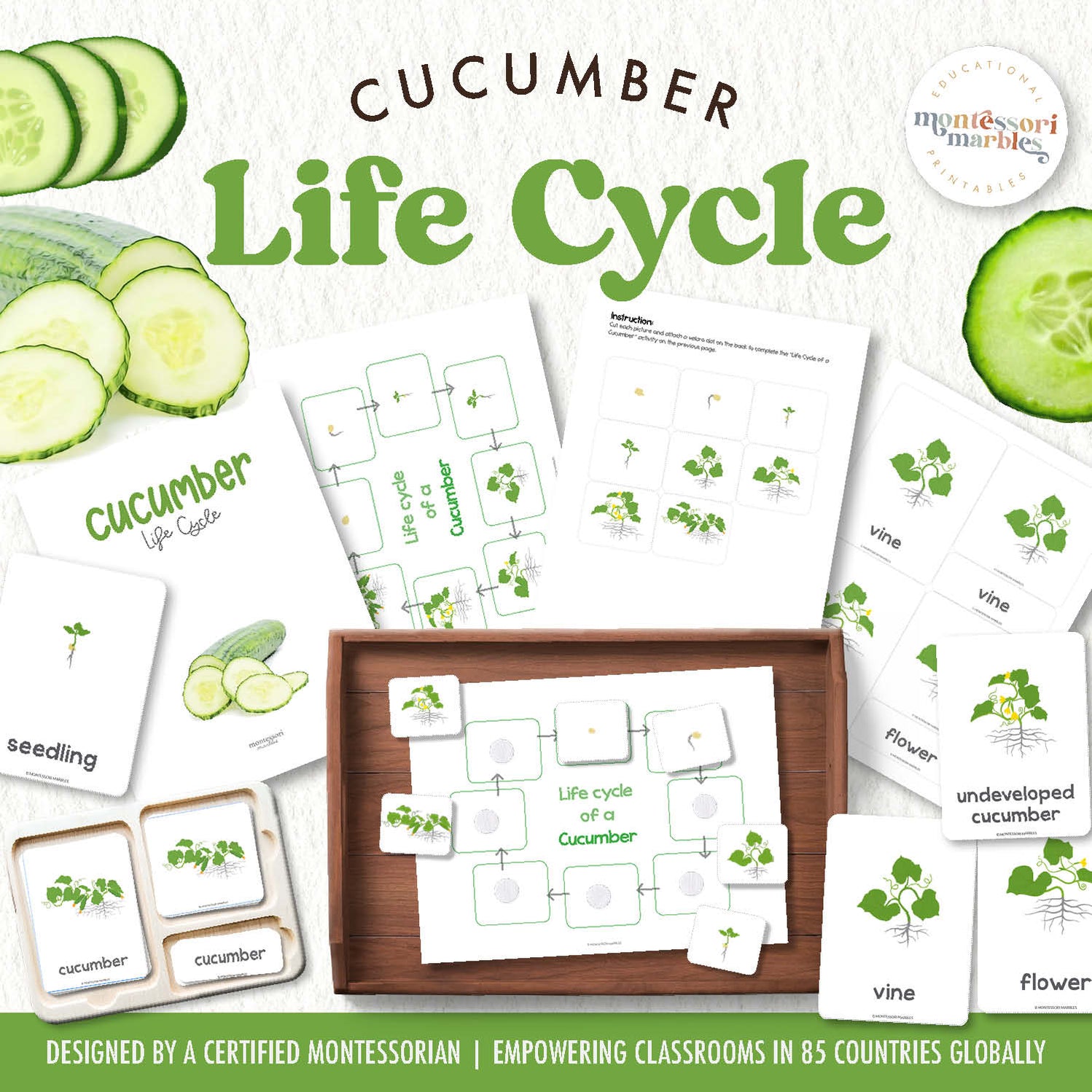 Cucumber Life Cycle | Montessori Plant Science Nomenclature Ages 3-9 ...