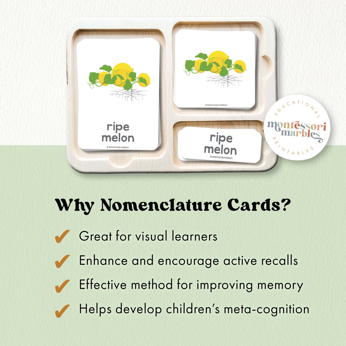 Melon Life Cycle – Montessori Marbles