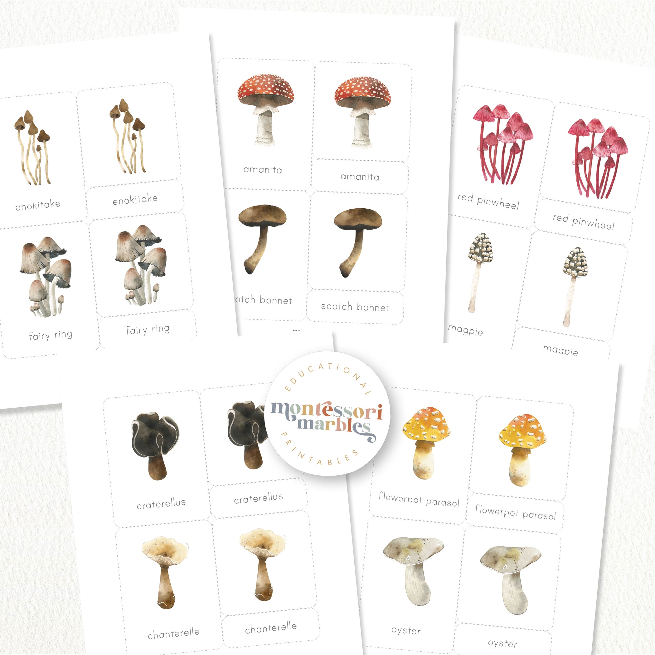Mushroom Nomenclature Cards | 16 3-Part Fungi Nature Study Ages 4-8 ...