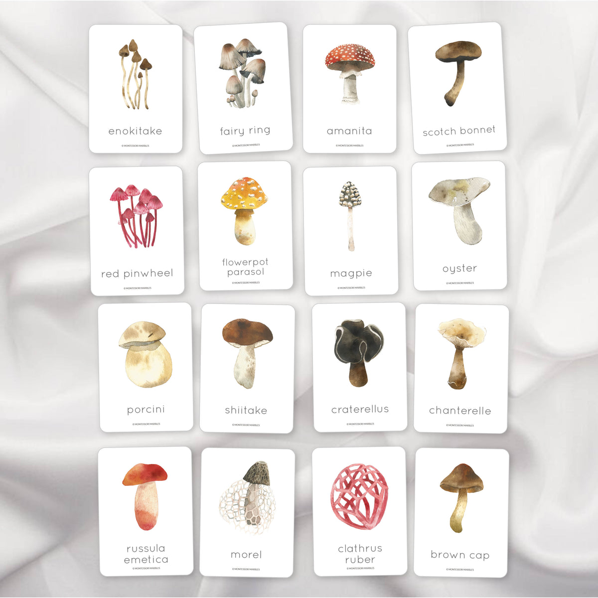 Mushroom Nomenclature Cards – Montessori Marbles