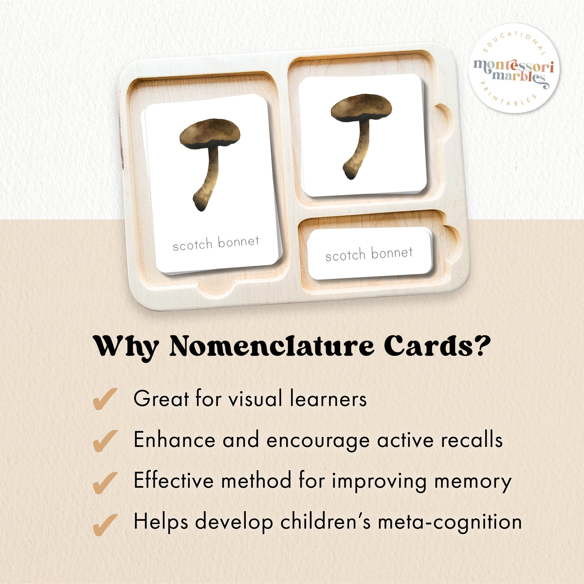 Mushroom Nomenclature Cards – Montessori Marbles