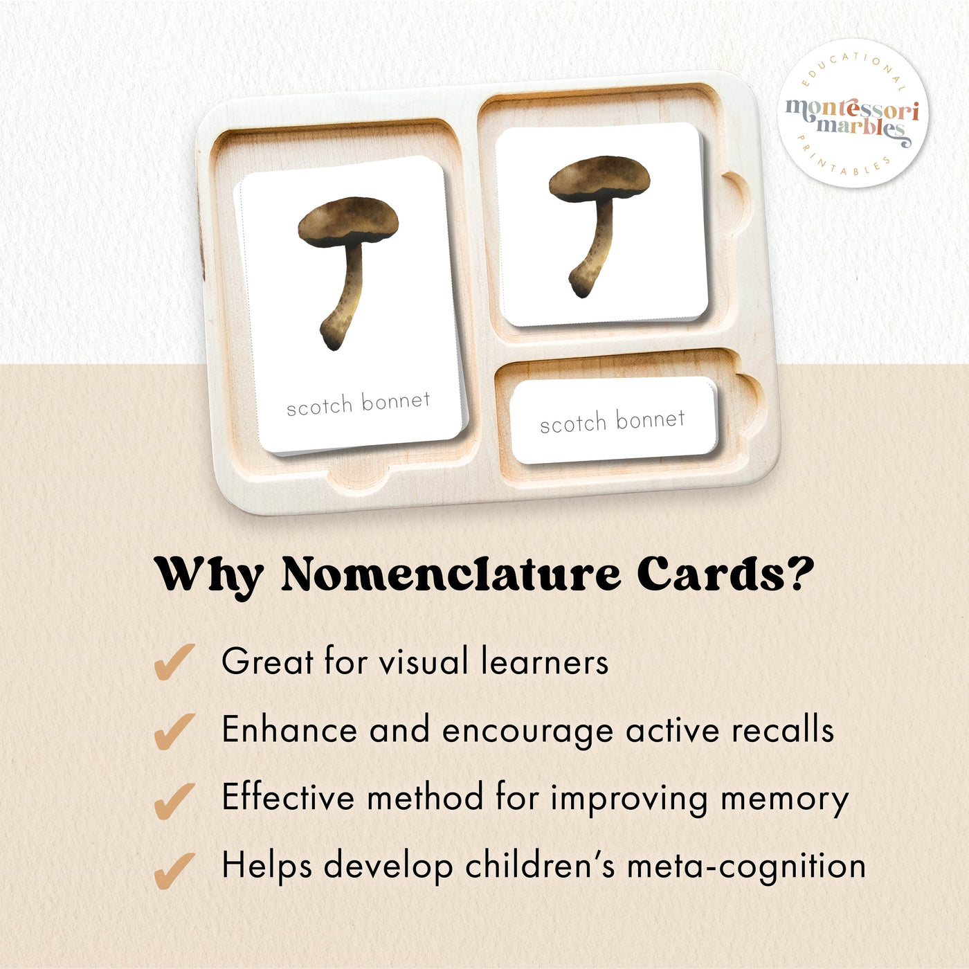 Mushroom Nomenclature Cards | 16 3-Part Fungi Nature Study Ages 4-8 ...