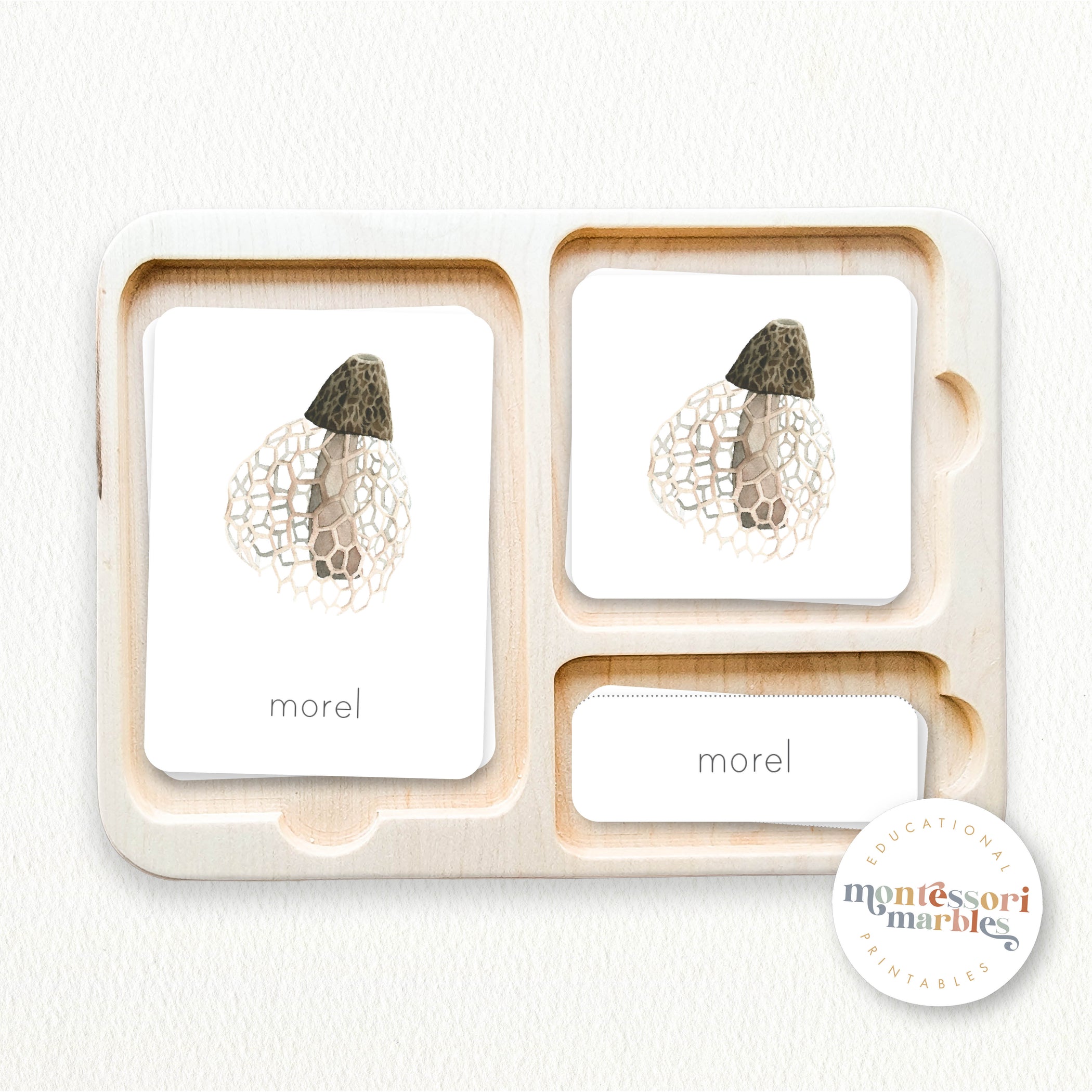 Mushroom Nomenclature Cards | 16 3-Part Fungi Nature Study Ages 4-8 ...
