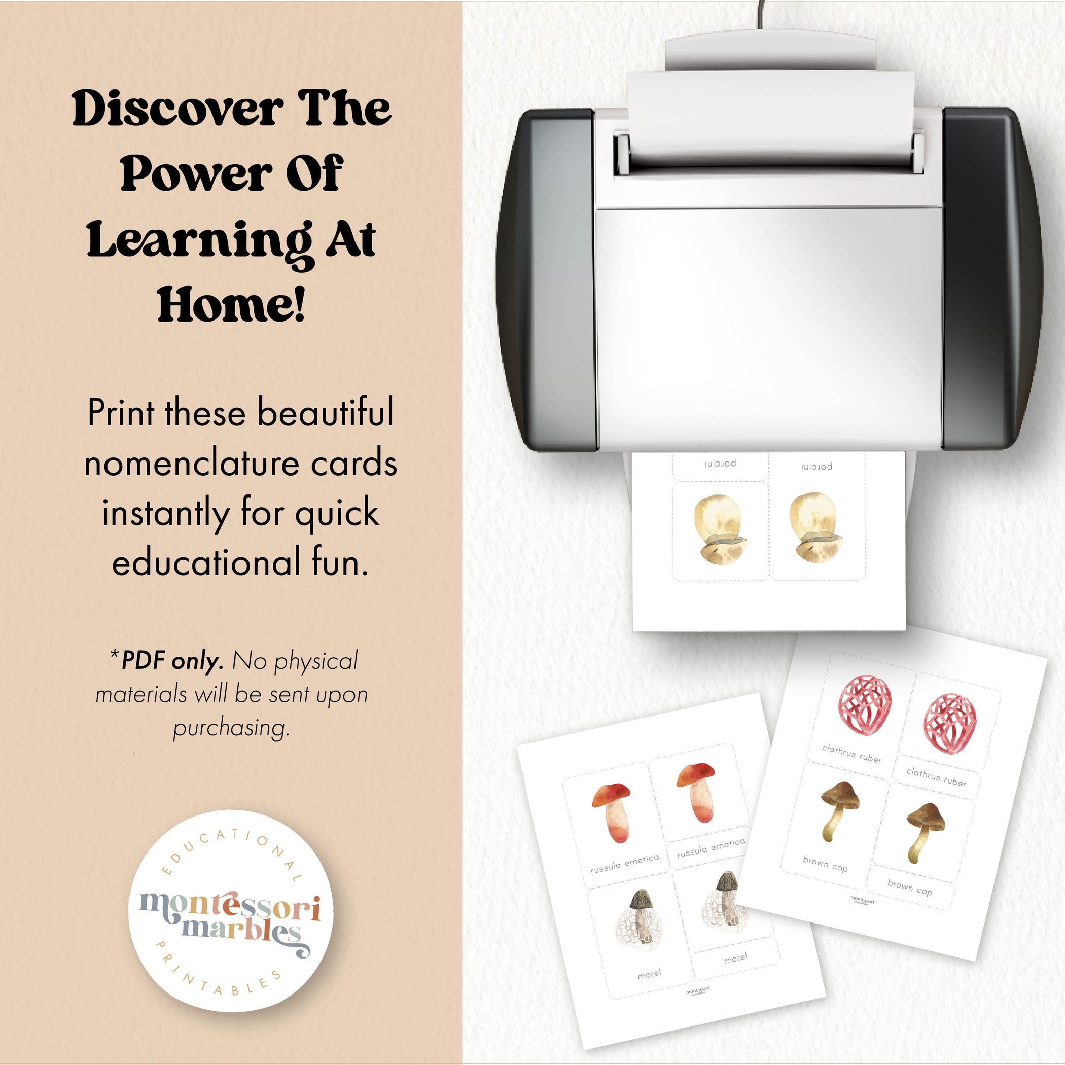 Mushroom Nomenclature Cards | 16 3-Part Fungi Nature Study Ages 4-8 ...