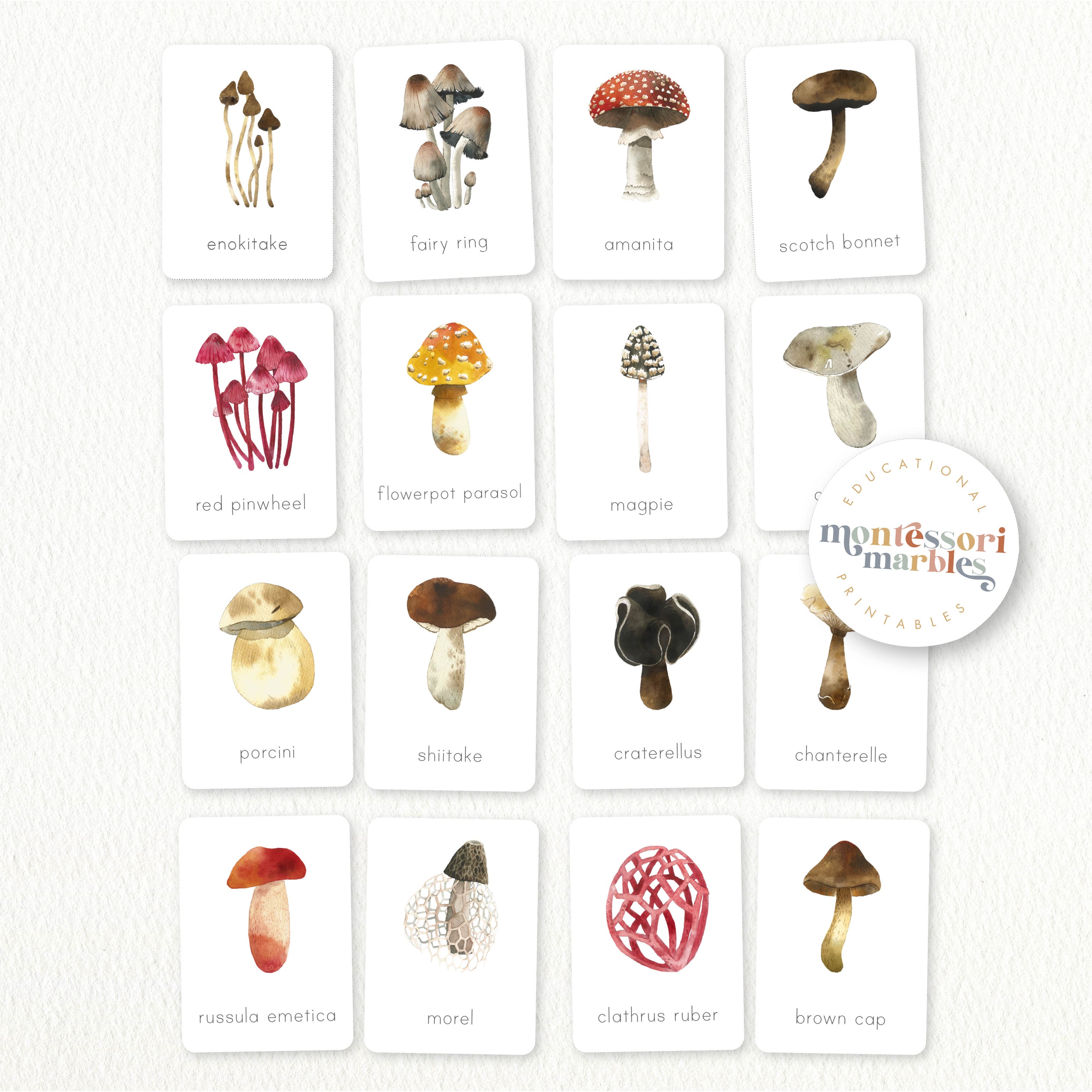 Mushroom Nomenclature Cards — Montessori Marbles