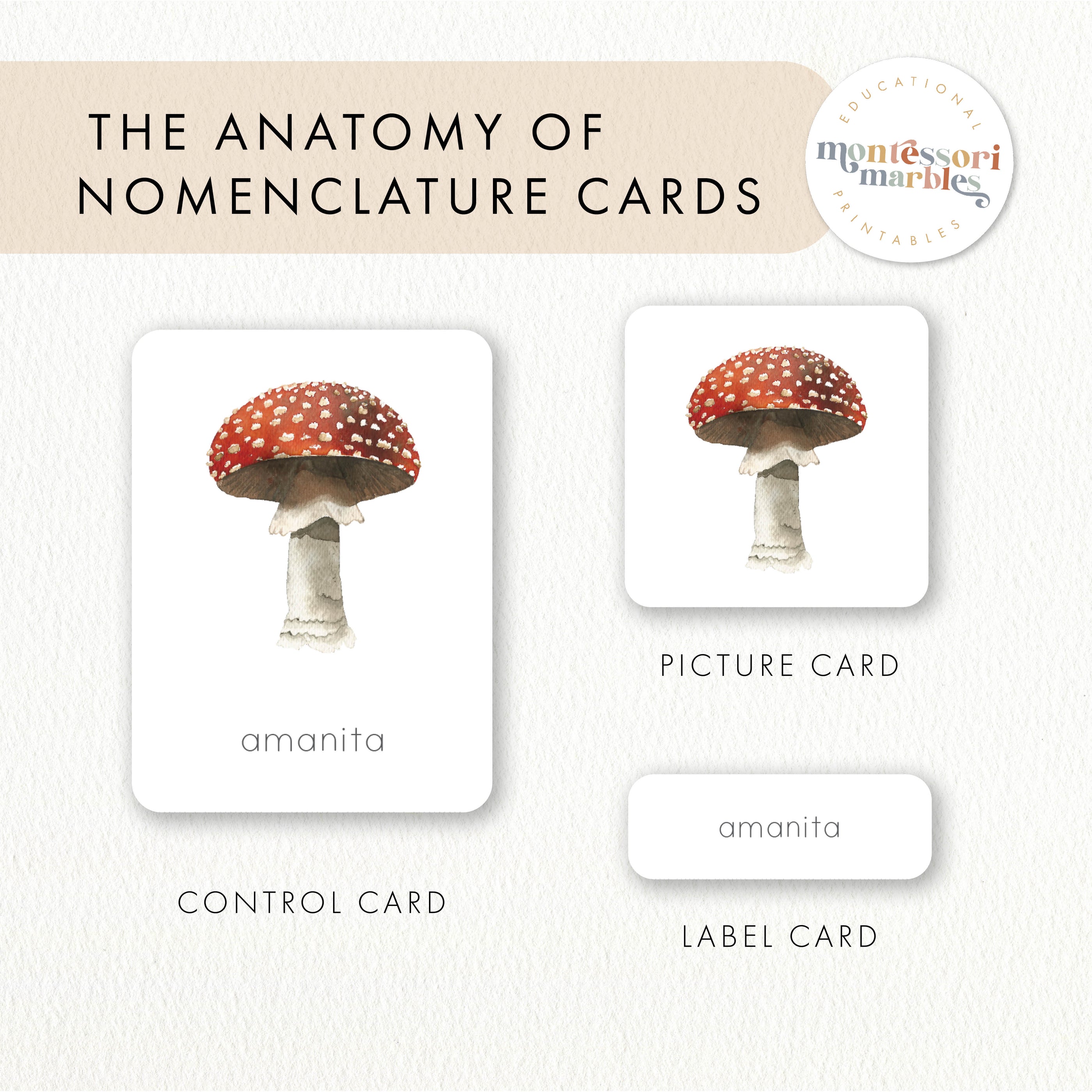 Mushroom Nomenclature Cards | 16 3-Part Fungi Nature Study Ages 4-8 ...