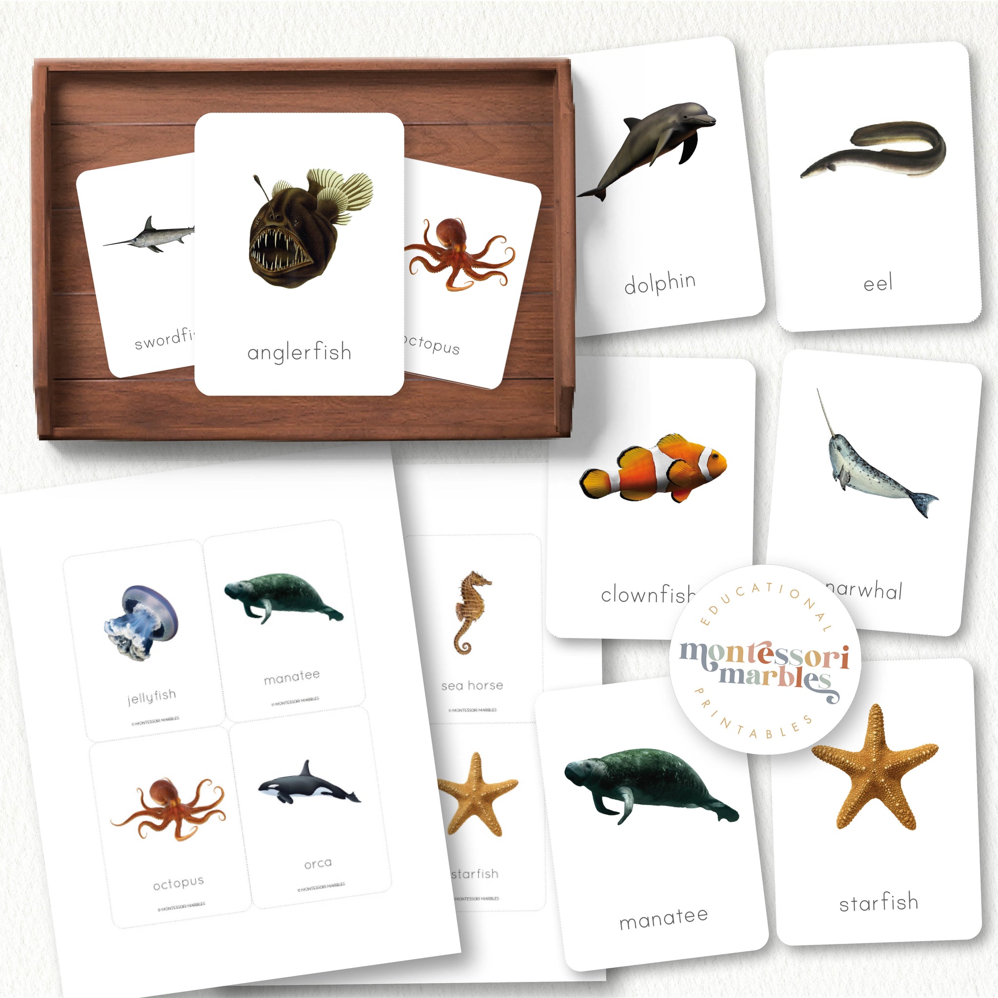 Ocean Animals — Montessori Marbles