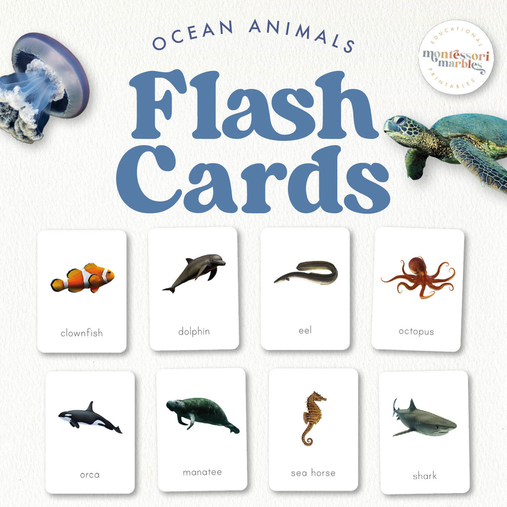 Ocean Animals — Montessori Marbles