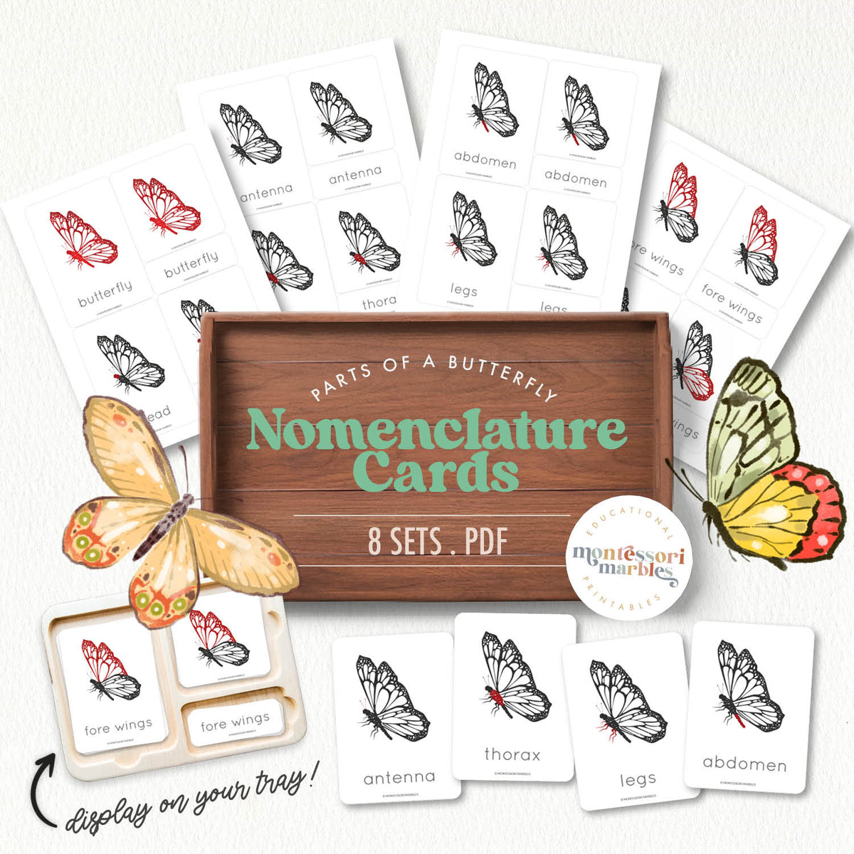 Parts of a Butterfly Nomenclature Cards | 3-Part Insect Anatomy Ages 5 ...