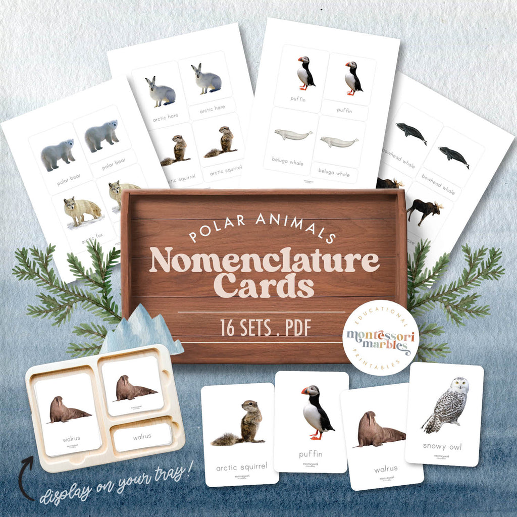 Montessori Nomenclature Cards — Montessori Marbles