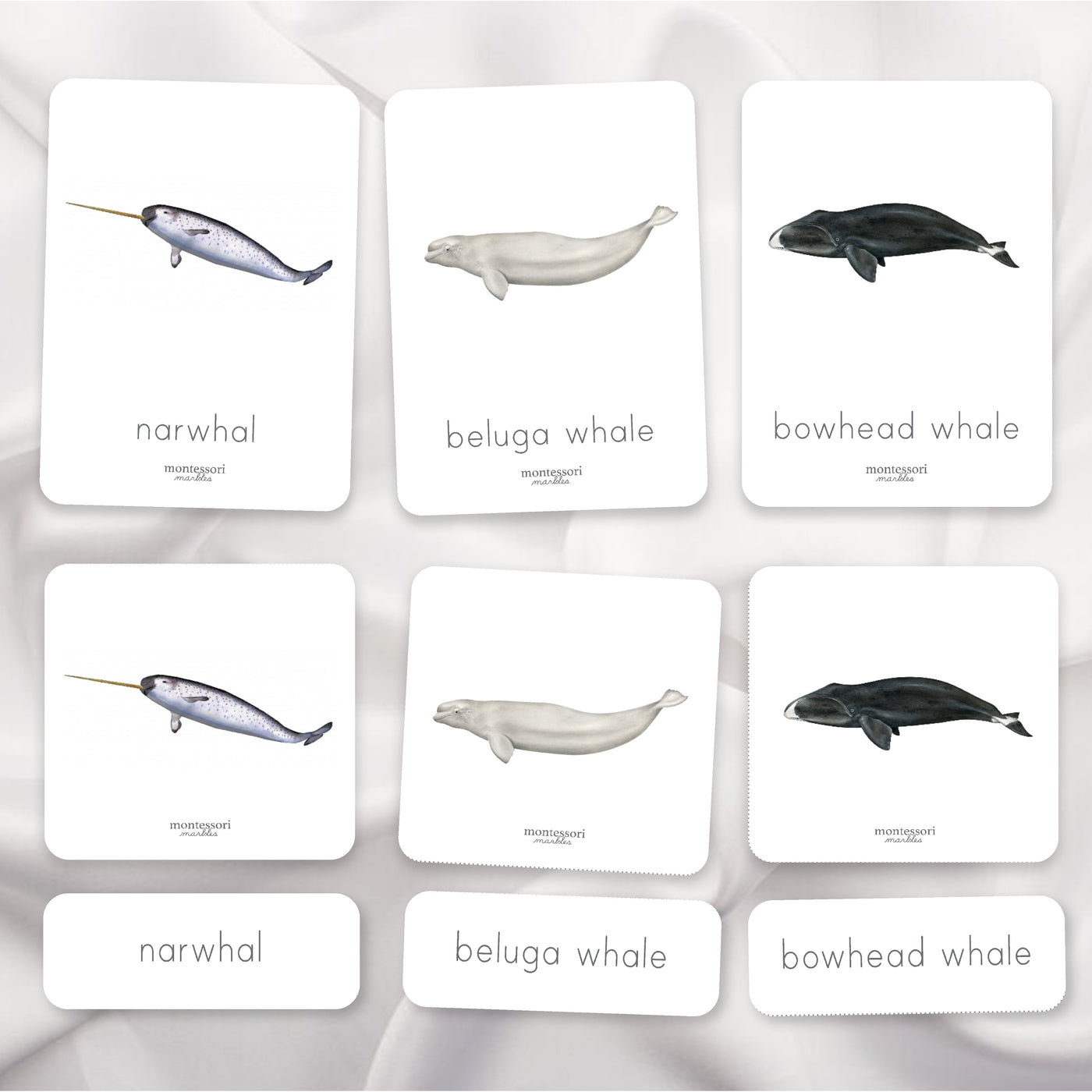 Polar Animals Bundle | 10 Arctic Activities Ages 3-6 Winter PDF ...