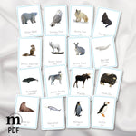 Polar Animals Bundle | 10 Arctic Activities Ages 3-6 Winter PDF ...