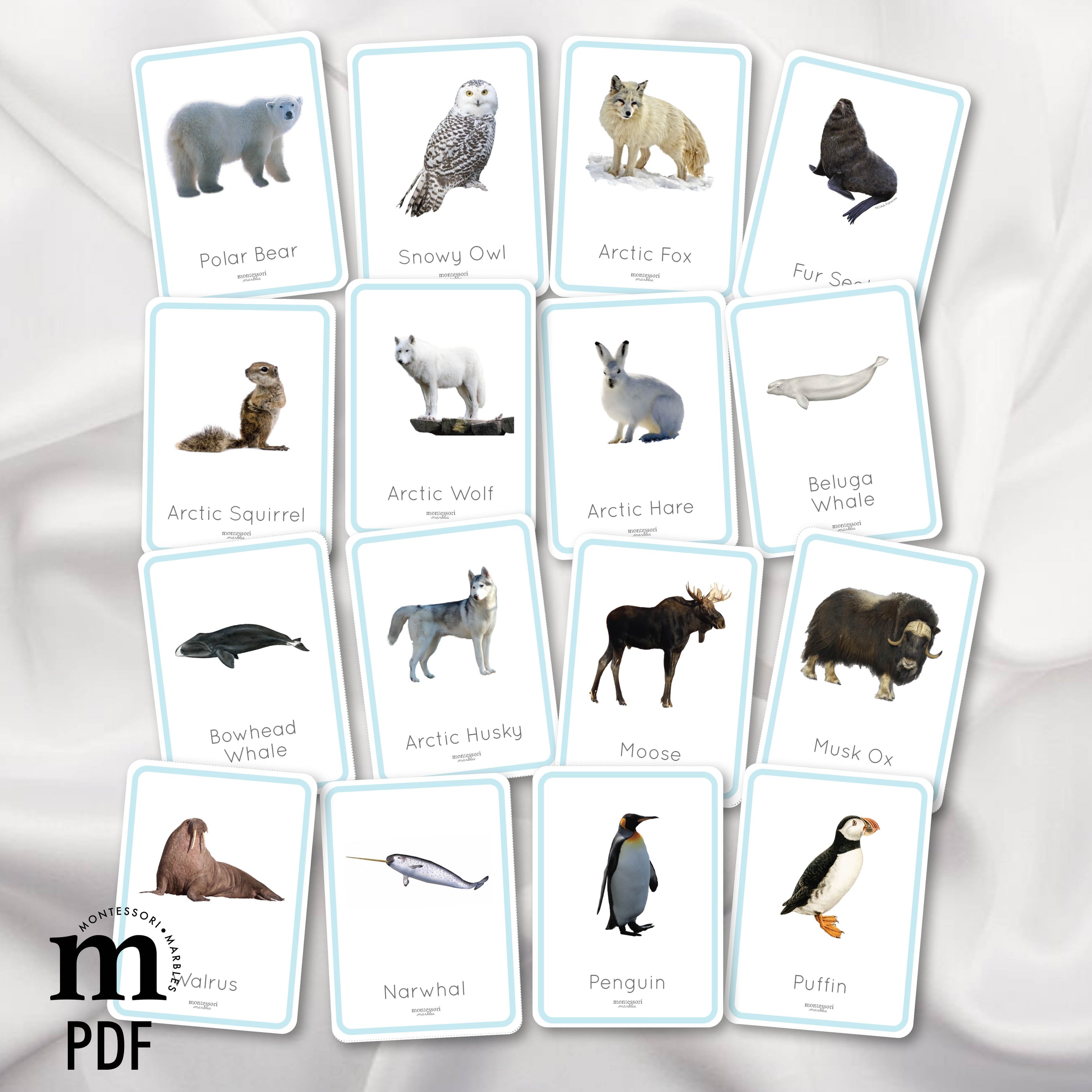 Polar Animals Bundle | 10 Arctic Activities Ages 3-6 Winter PDF ...