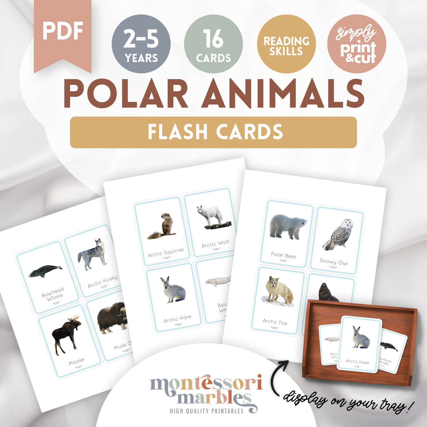 Polar Animals Flash Cards | Real Photos Montessori Ages 3-6 ...