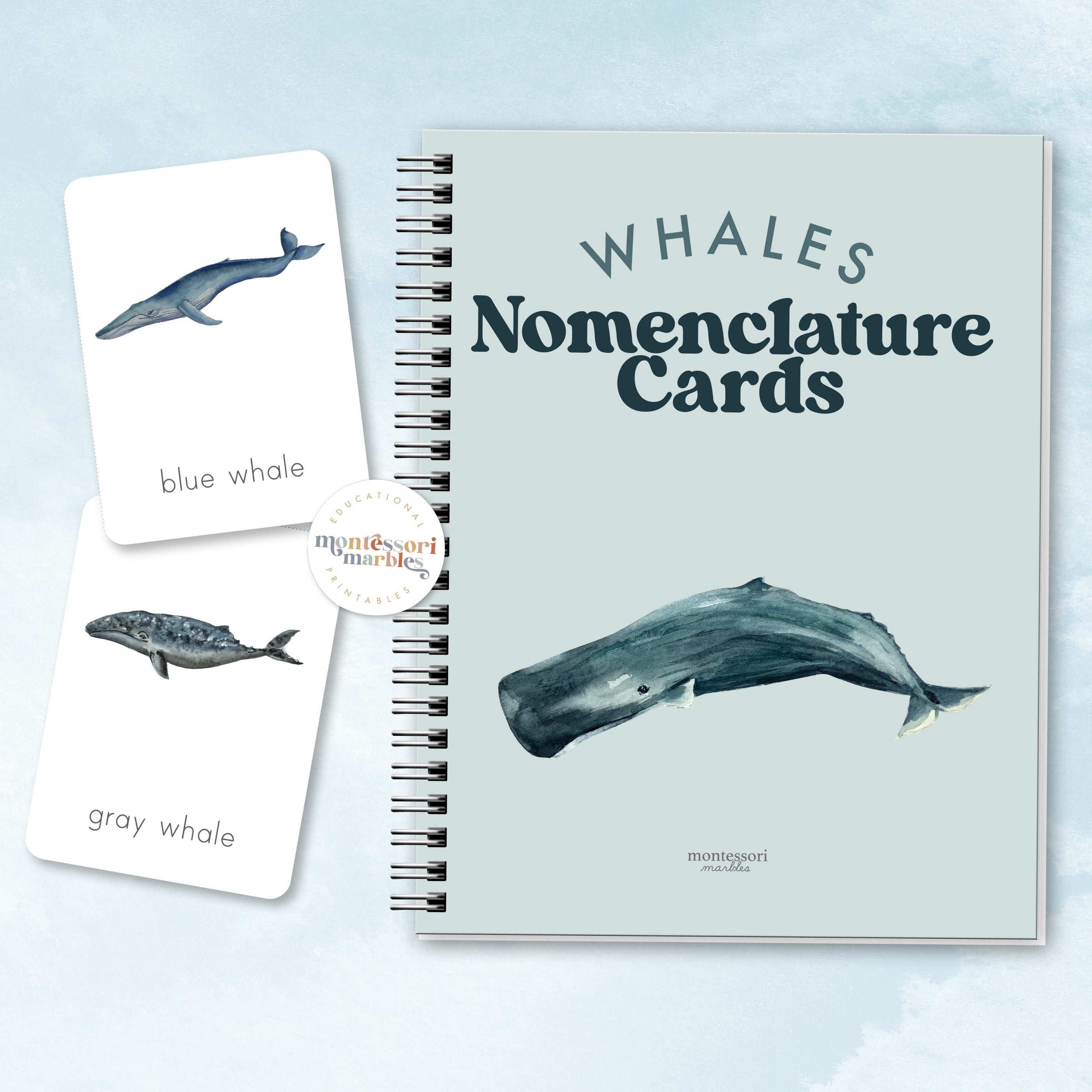 Whales Nomenclature Cards | 8 Sets Montessori Ages 4-8 Ocean Animals ...