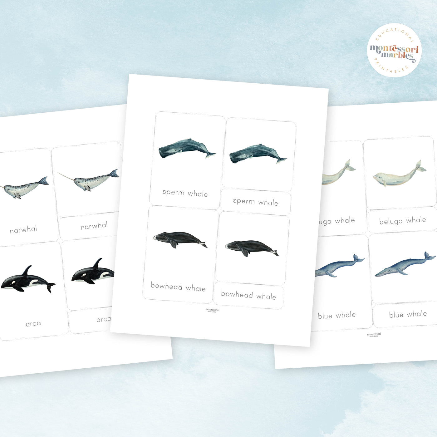 Whales Nomenclature Cards | Montessori Printable Resources — Montessori ...