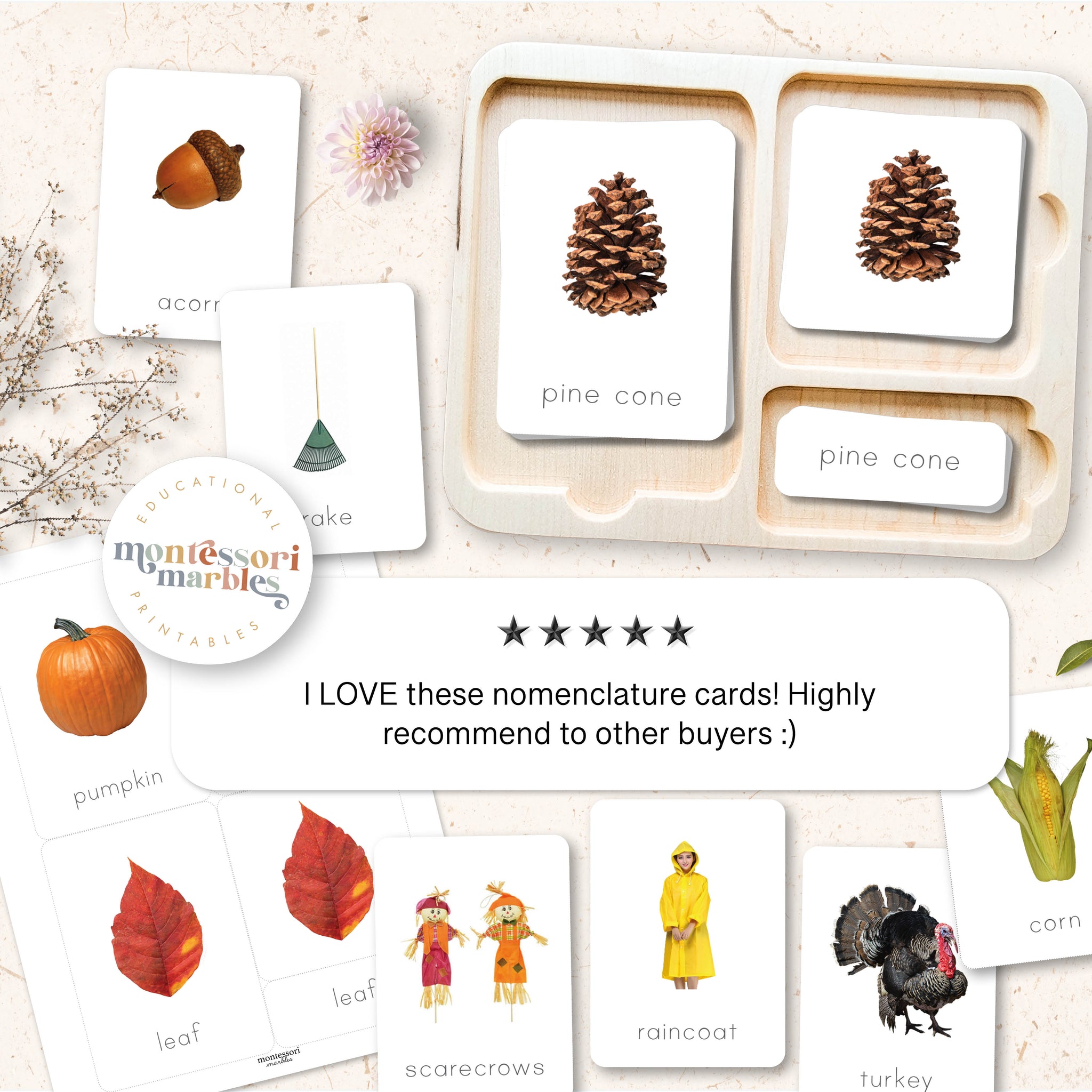 Montessori Nomenclature Cards — Montessori Marbles