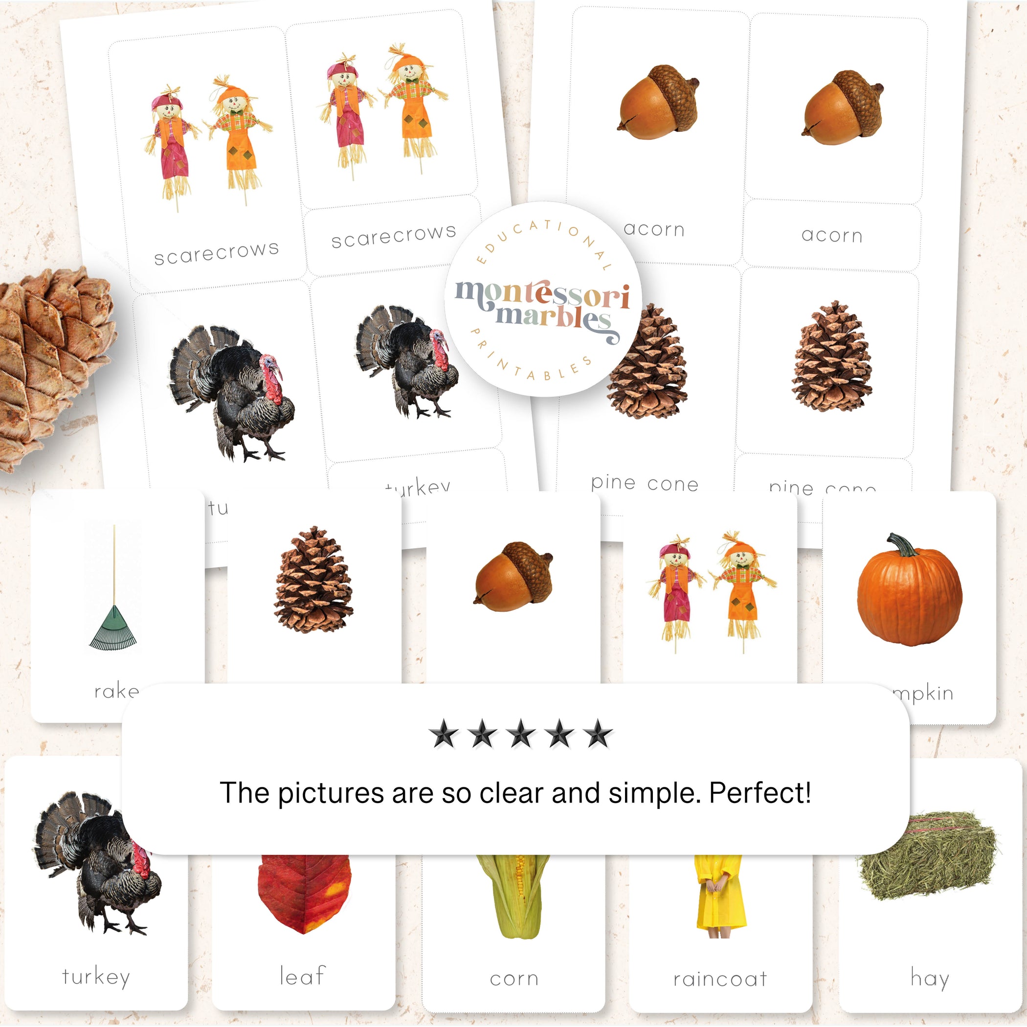 Fall Nomenclature Cards | 10 3-Part Vocabulary Cards Ages 3-6 Autumn ...