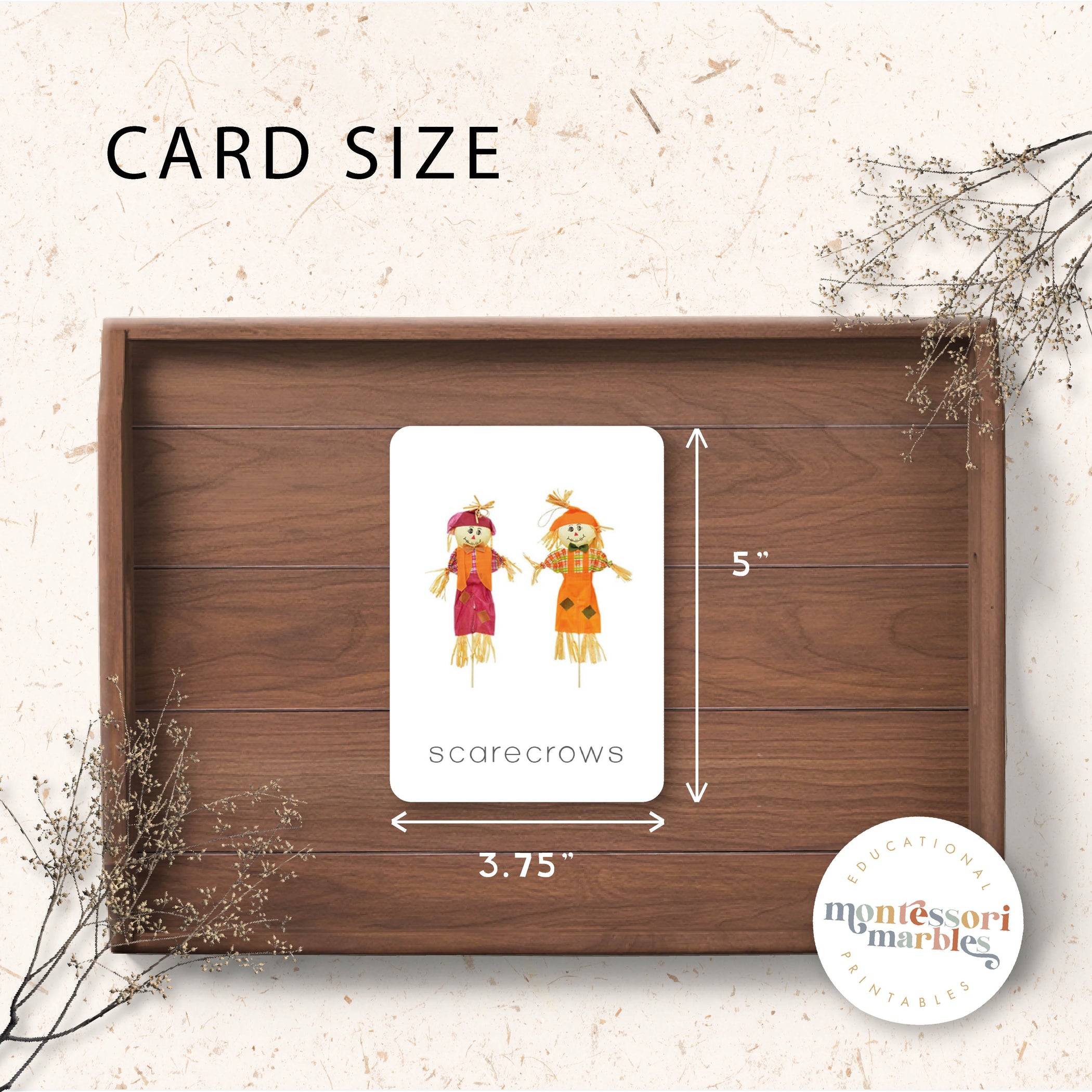Fall Nomenclature Cards | 10 3-Part Vocabulary Cards Ages 3-6 Autumn ...