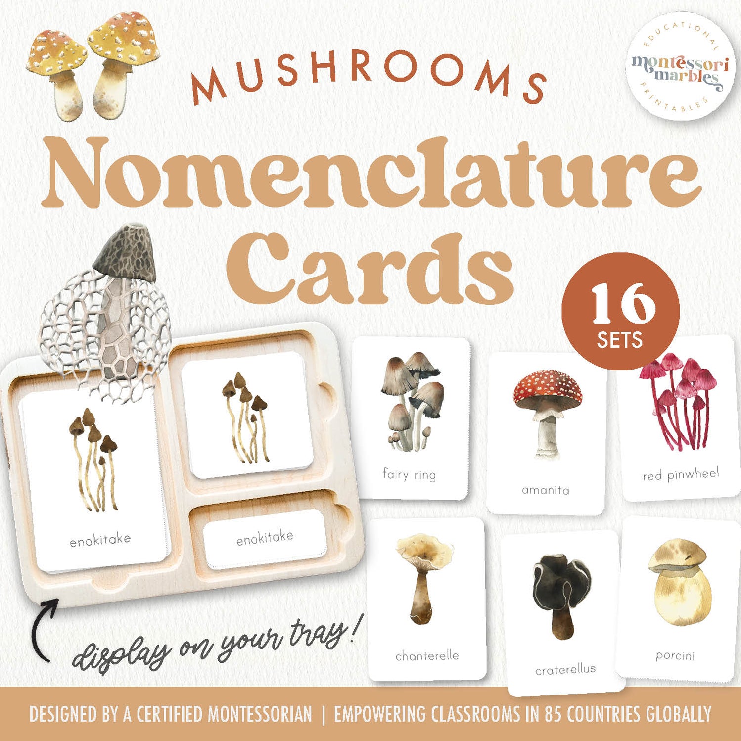 Mushroom Nomenclature Cards | 16 3-Part Fungi Nature Study Ages 4-8 ...