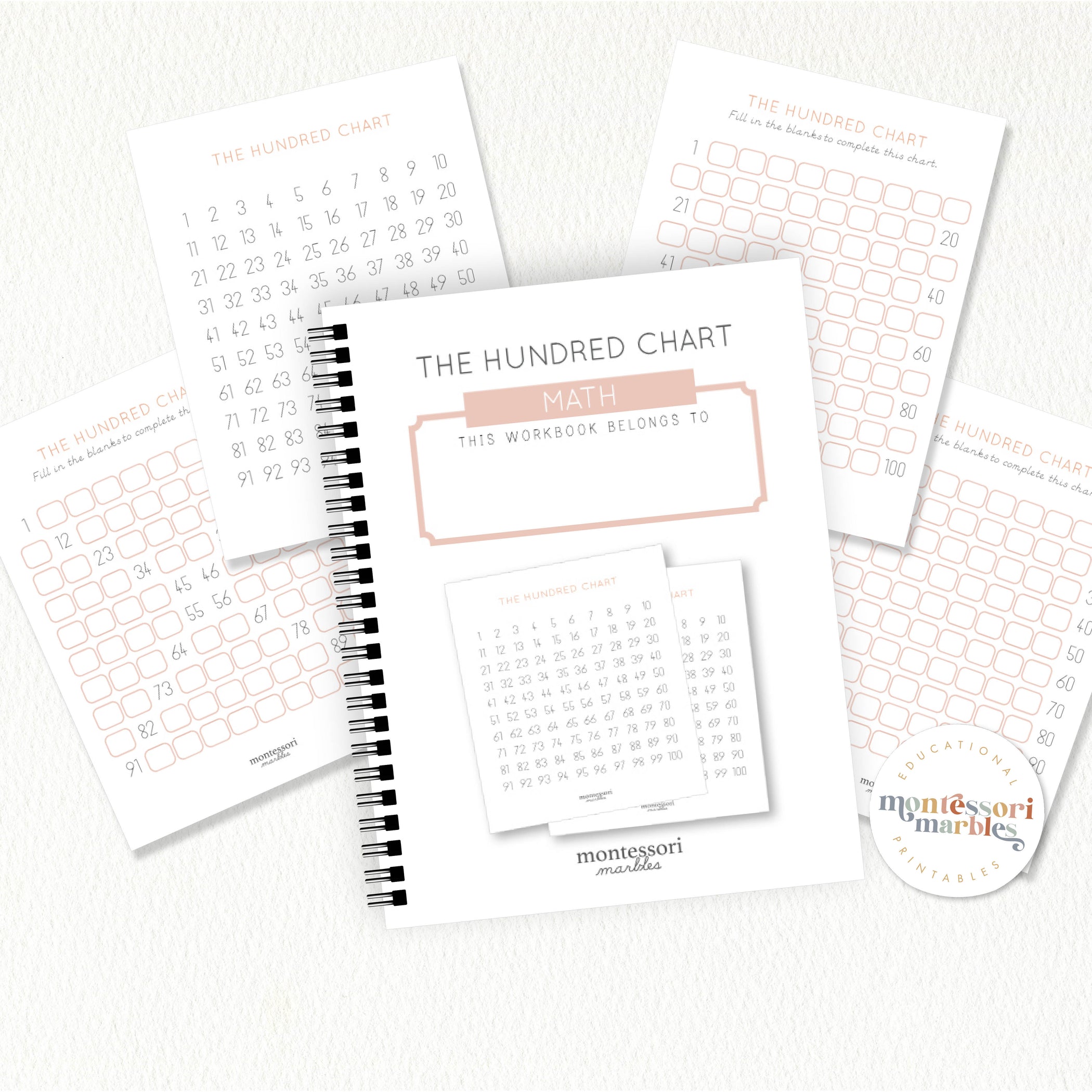 Hundred Chart Workbook | Number Practice Ages 4-6 | Math Printable PDF ...