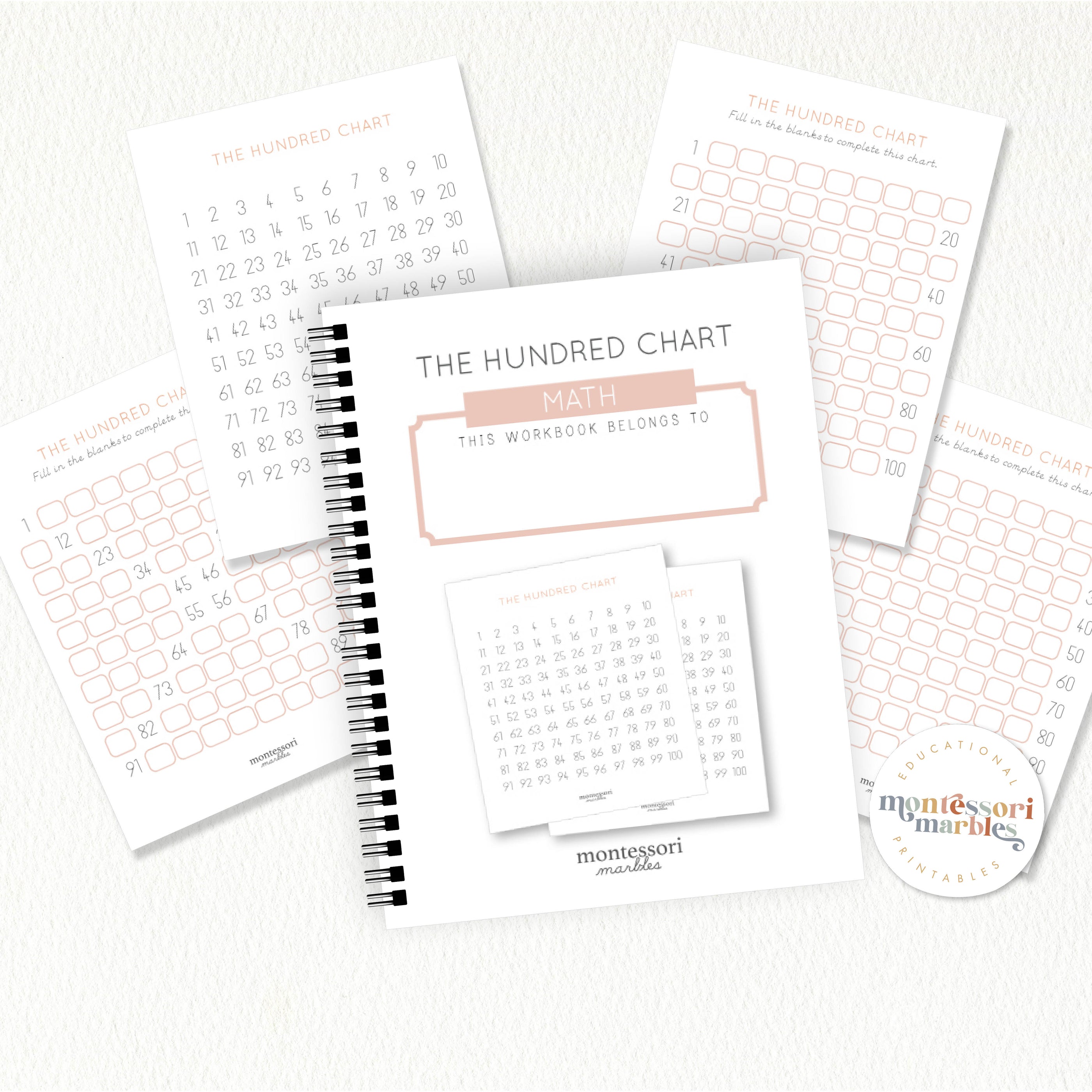 Hundred Chart Workbook | Number Practice Ages 4-6 | Math Printable PDF ...