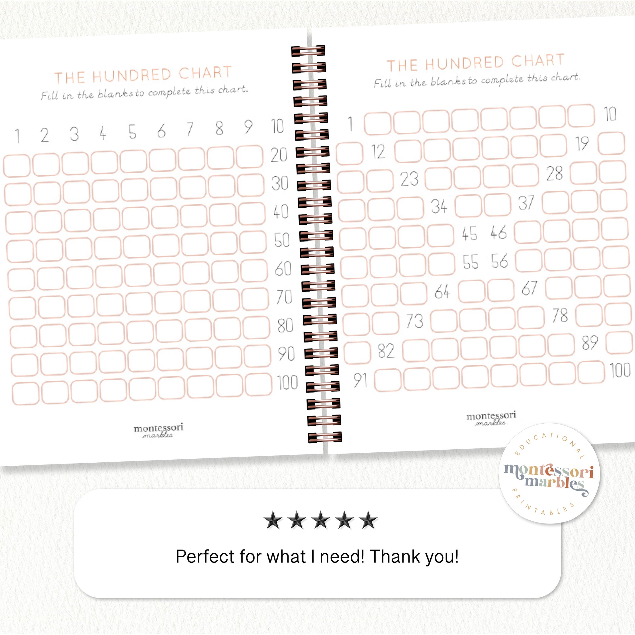 Hundred Chart Workbook | Number Practice Ages 4-6 | Math Printable PDF ...