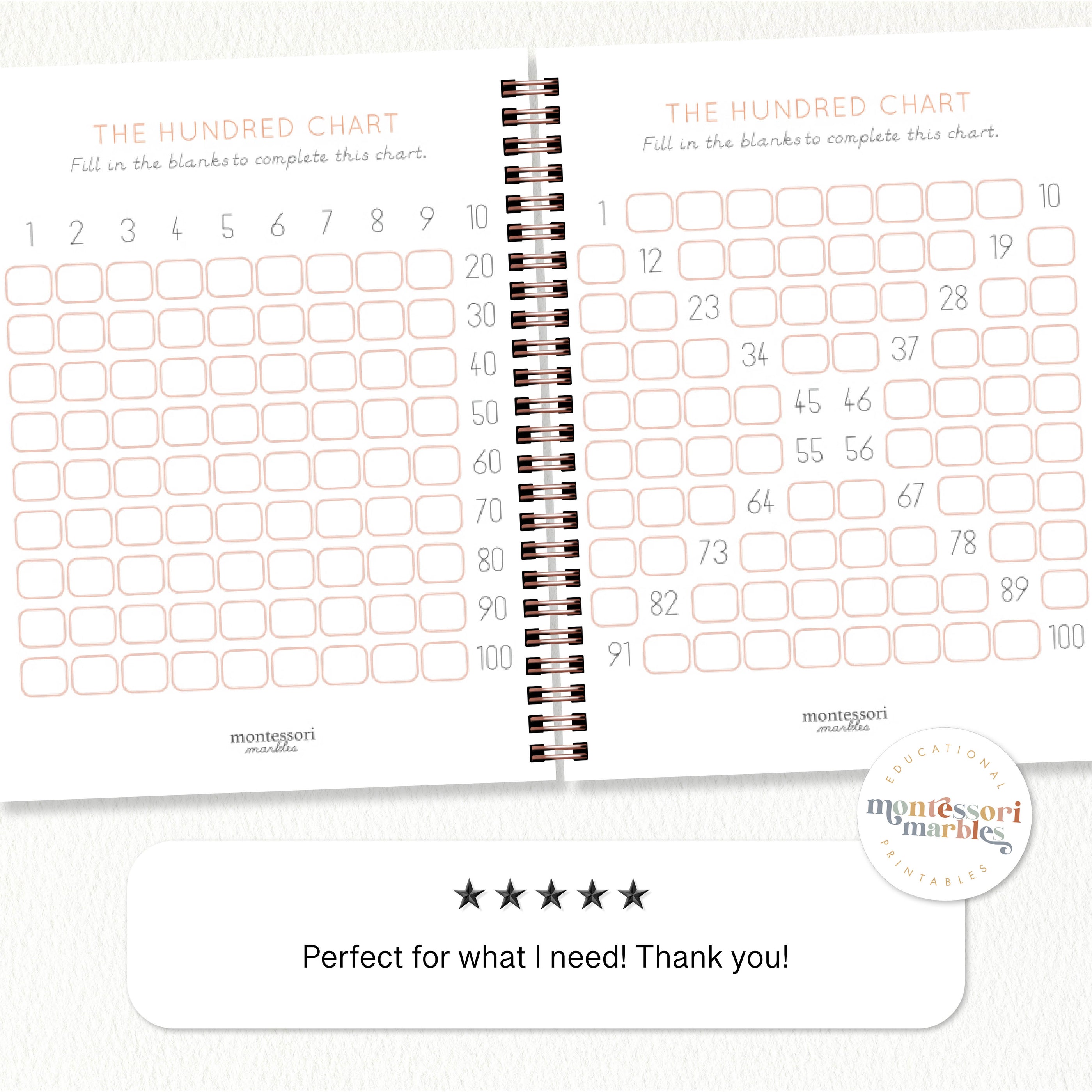Hundred Chart Workbook | Number Practice Ages 4-6 | Math Printable PDF ...
