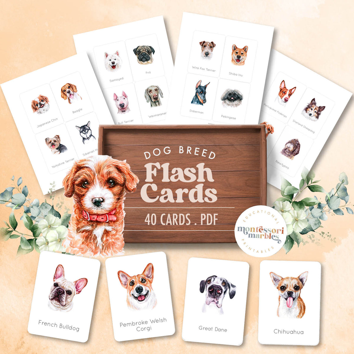 Dogs Flash Cards – Montessori Marbles