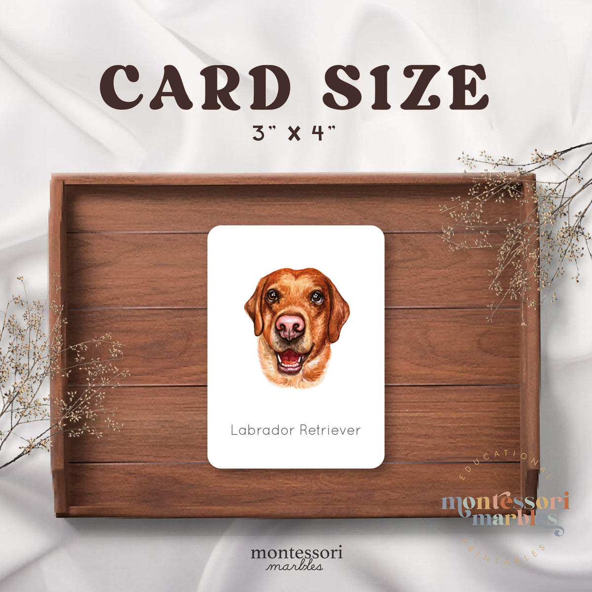 Dogs Flash Cards – Montessori Marbles