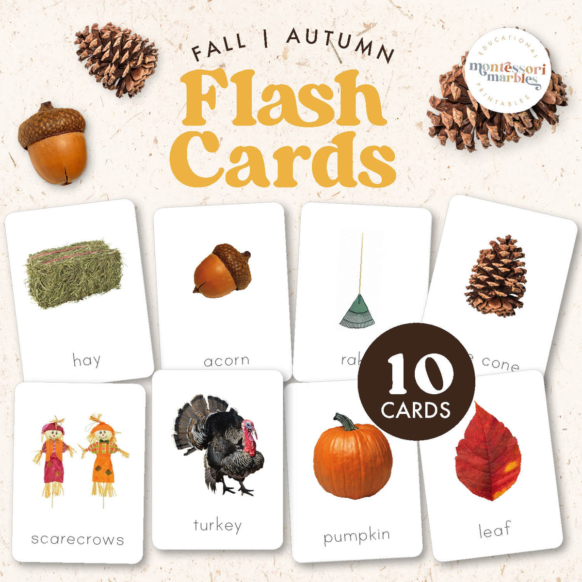 Fall Flash Cards – Montessori Marbles