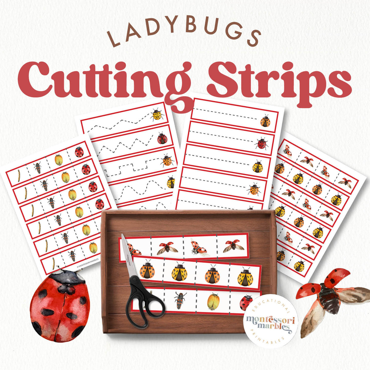 Lady Bugs Cutting Strips | Montessori Inspired Fine Motor Skills ...