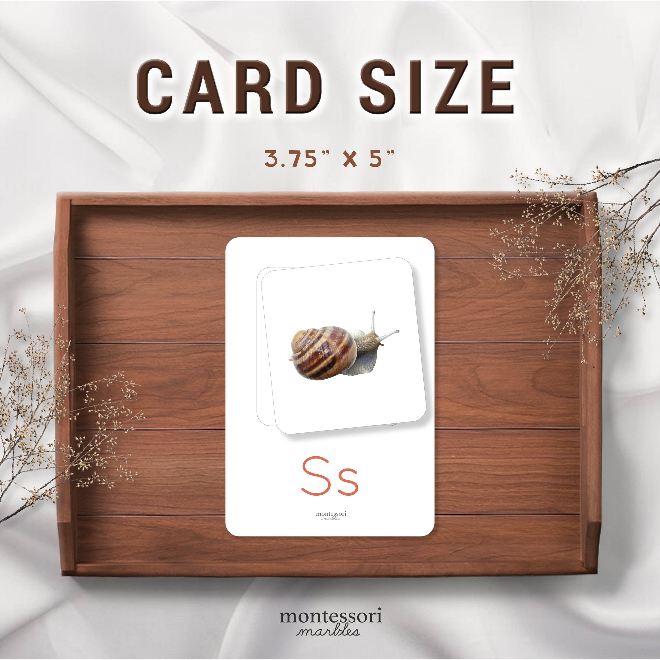 Beginning Sounds Matching Cards | Phonics Activity Ages 4-6 Letter ...