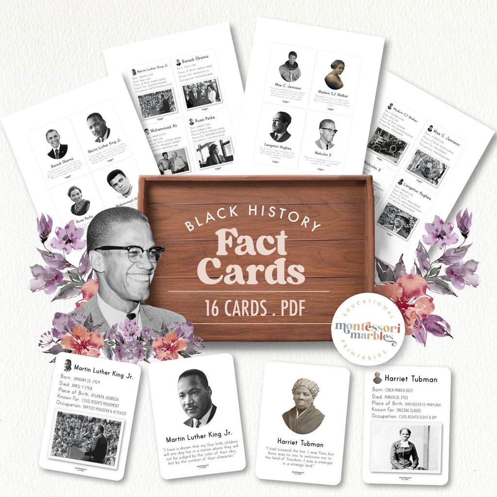 Black History Month — Montessori Marbles