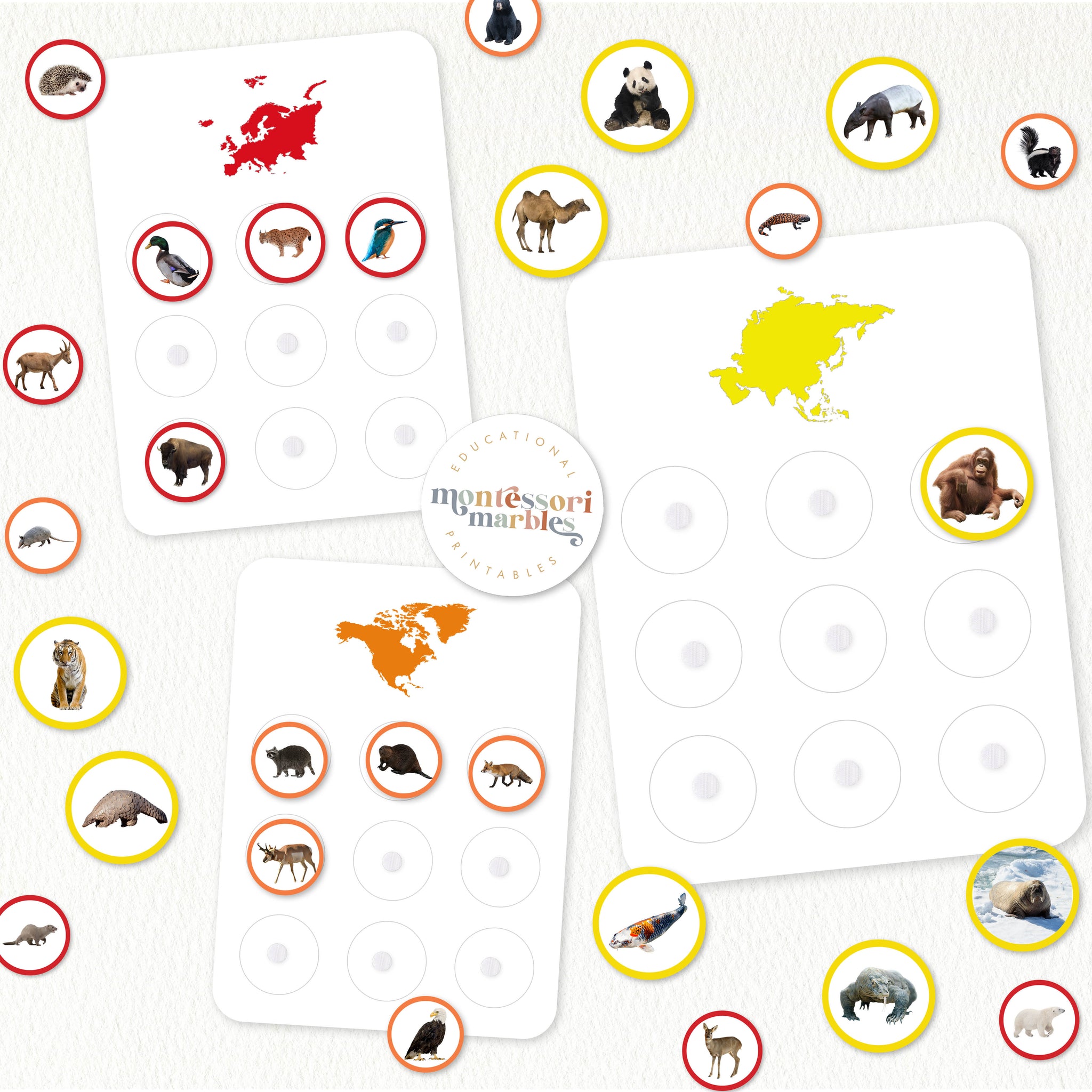 Safari Animals — Montessori Marbles