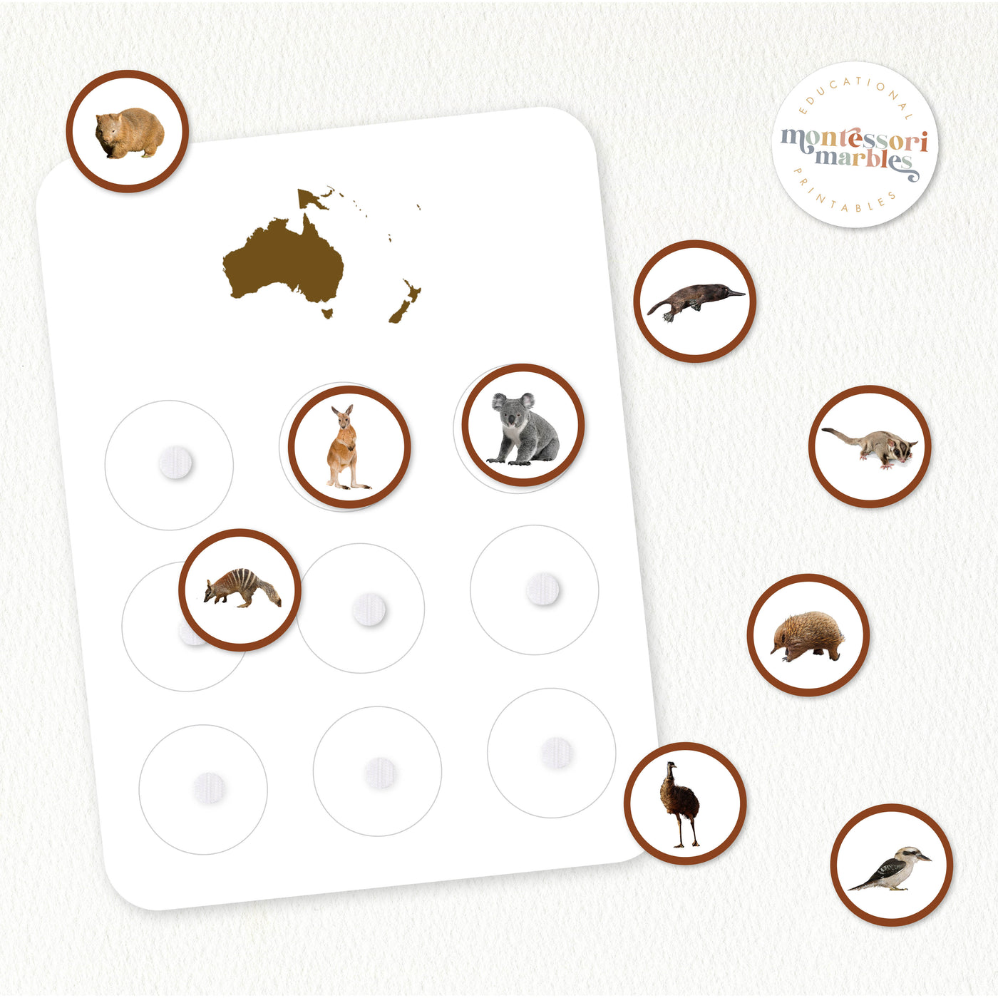 Animals Continents Sorting Cards | Geography Activity Ages 5-8 ...