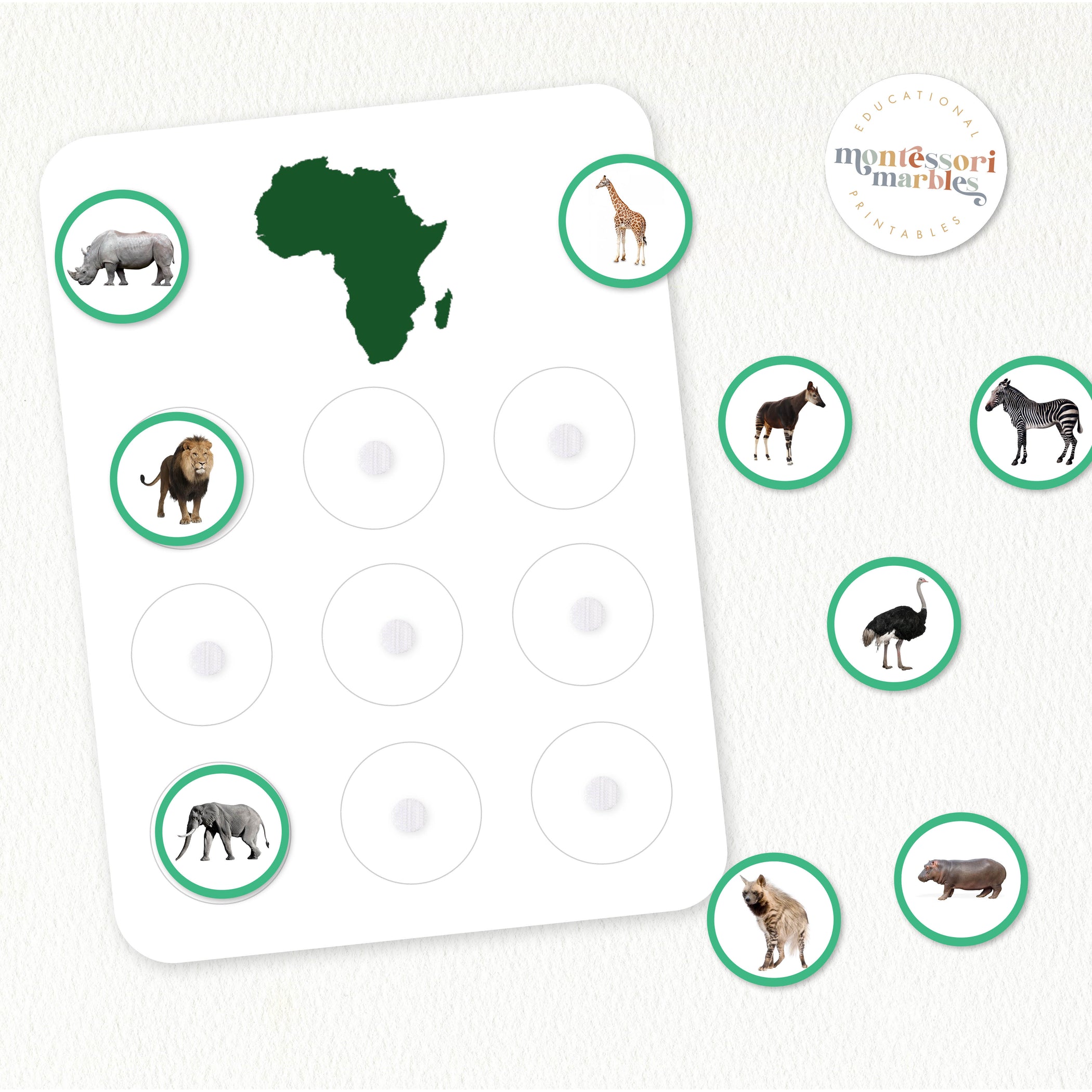 Primary Colors Sorting Cards | Montessori Sensory Printable Resources ...