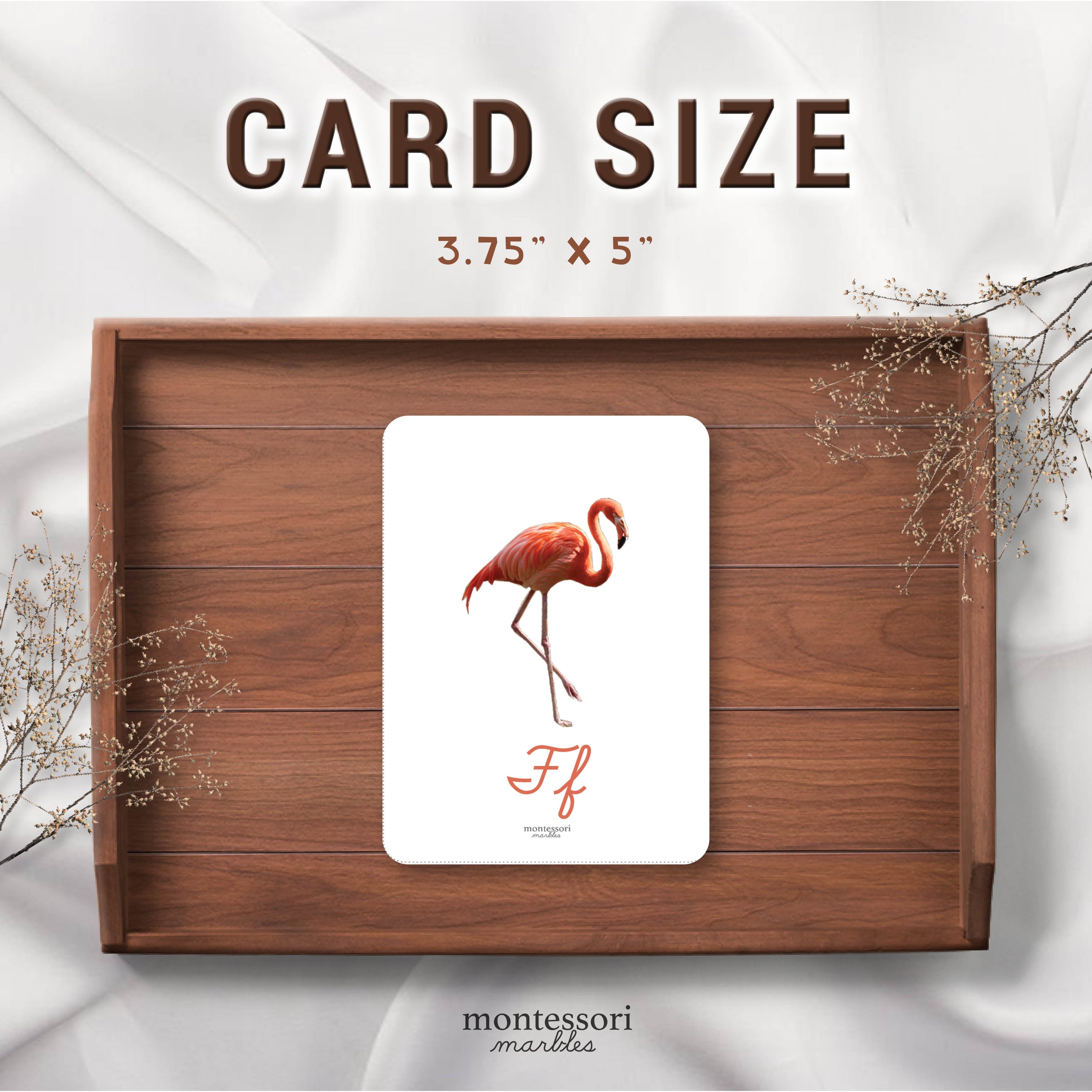 Beginning Sounds Cursive Flash Cards | 26 Letters Phonics Ages 5-7 PDF ...