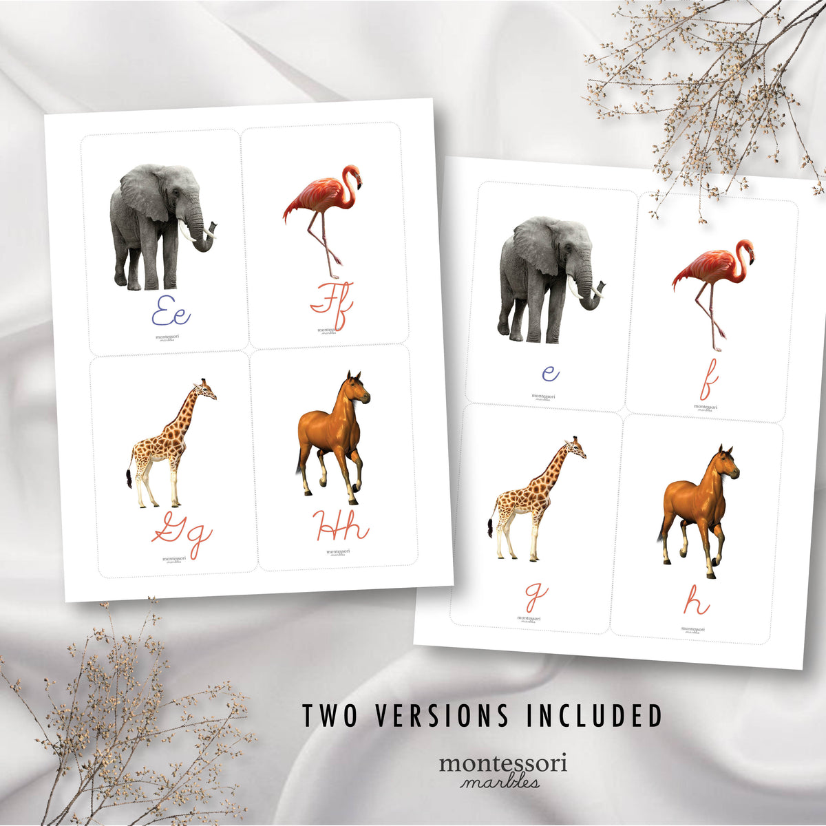 Beginning Sounds Flash Cards in Cursive – Montessori Marbles