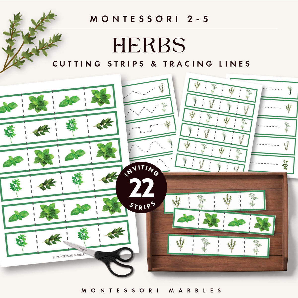 Herbs Cutting Strips | Scissor Practice Fine Motor Skills Ages 2-5 ...